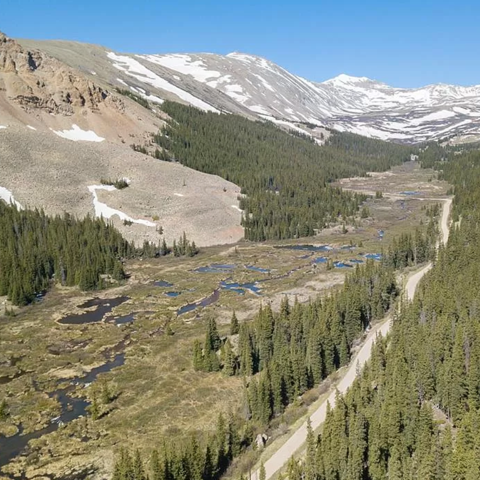 Wandering Moose Meadows Camping | The Dyrt