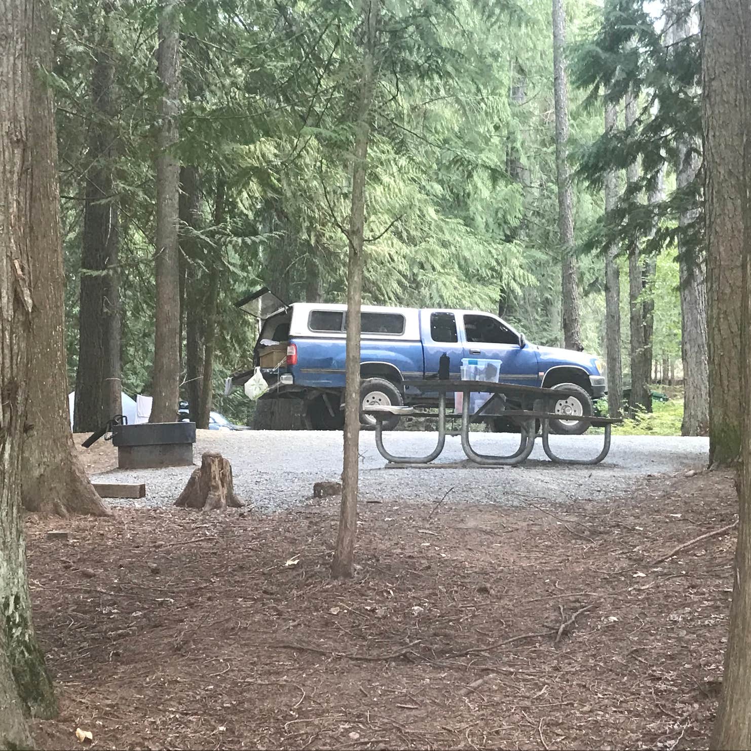 Springy Point Camping | Dover, Idaho