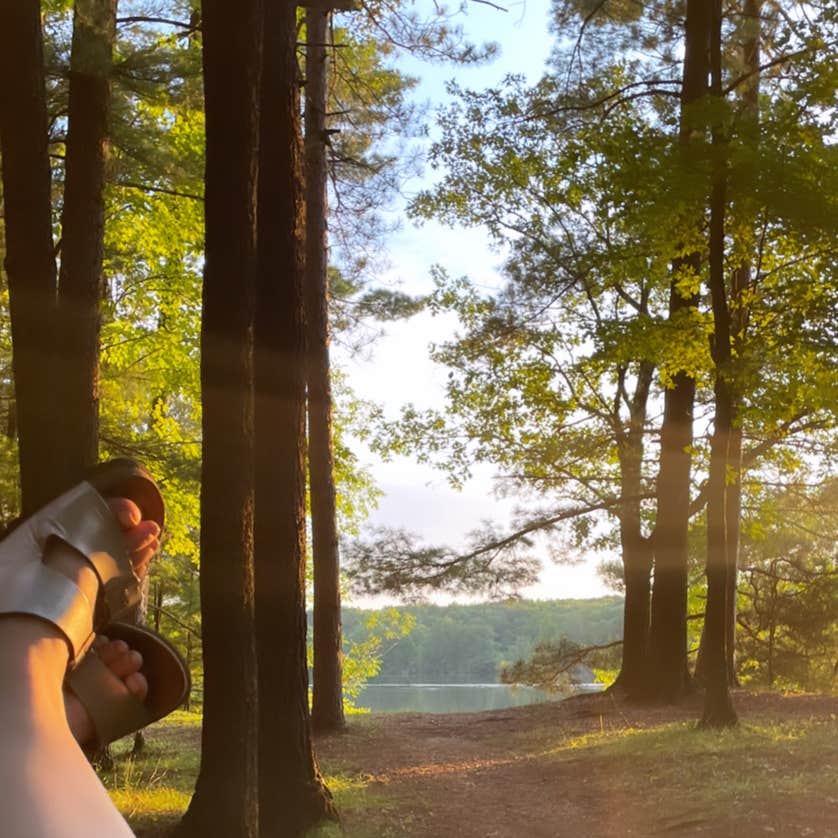 Brunet Island State Park Campground | Cornell, Wisconsin