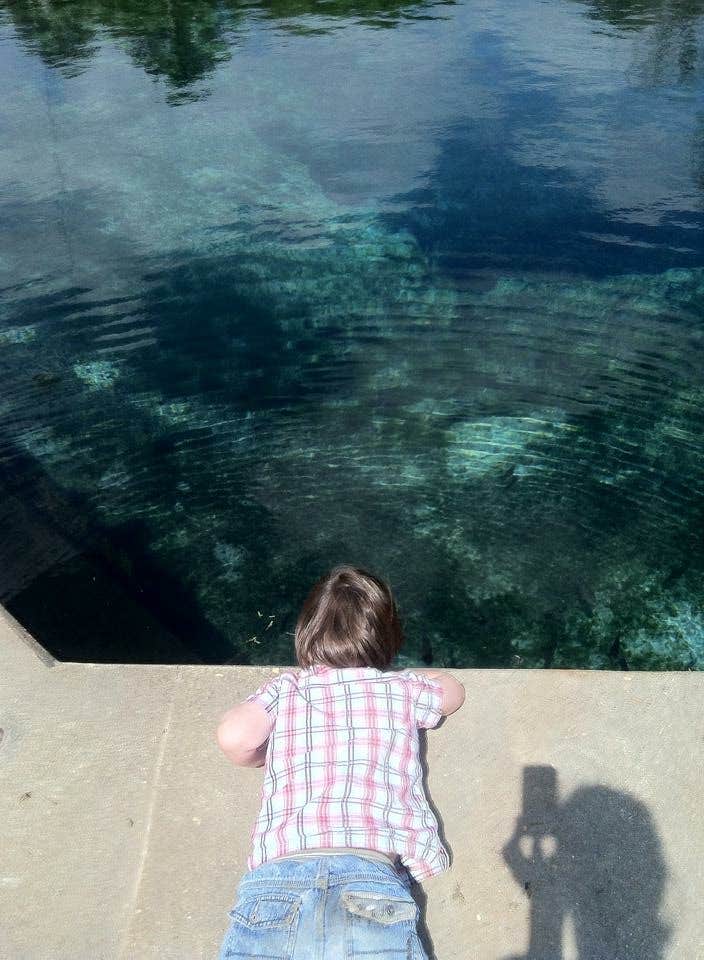 Blue Springs State Park Campground | Clopton, Alabama