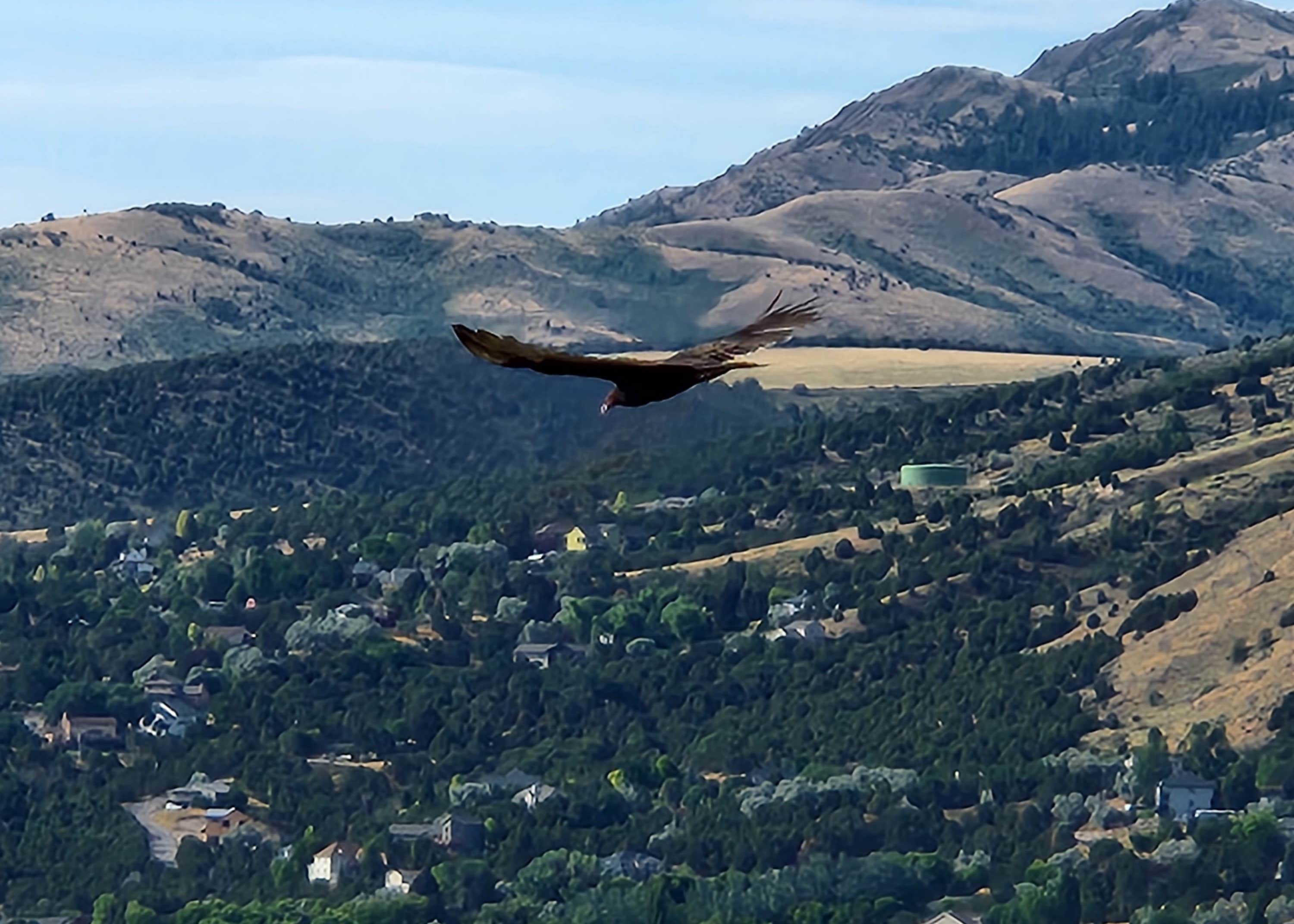 Cowboy RV Park Camping | The Dyrt