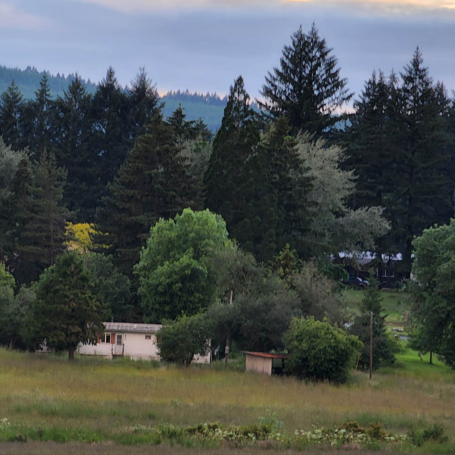 Henry Hagg Hideaway Camping | The Dyrt