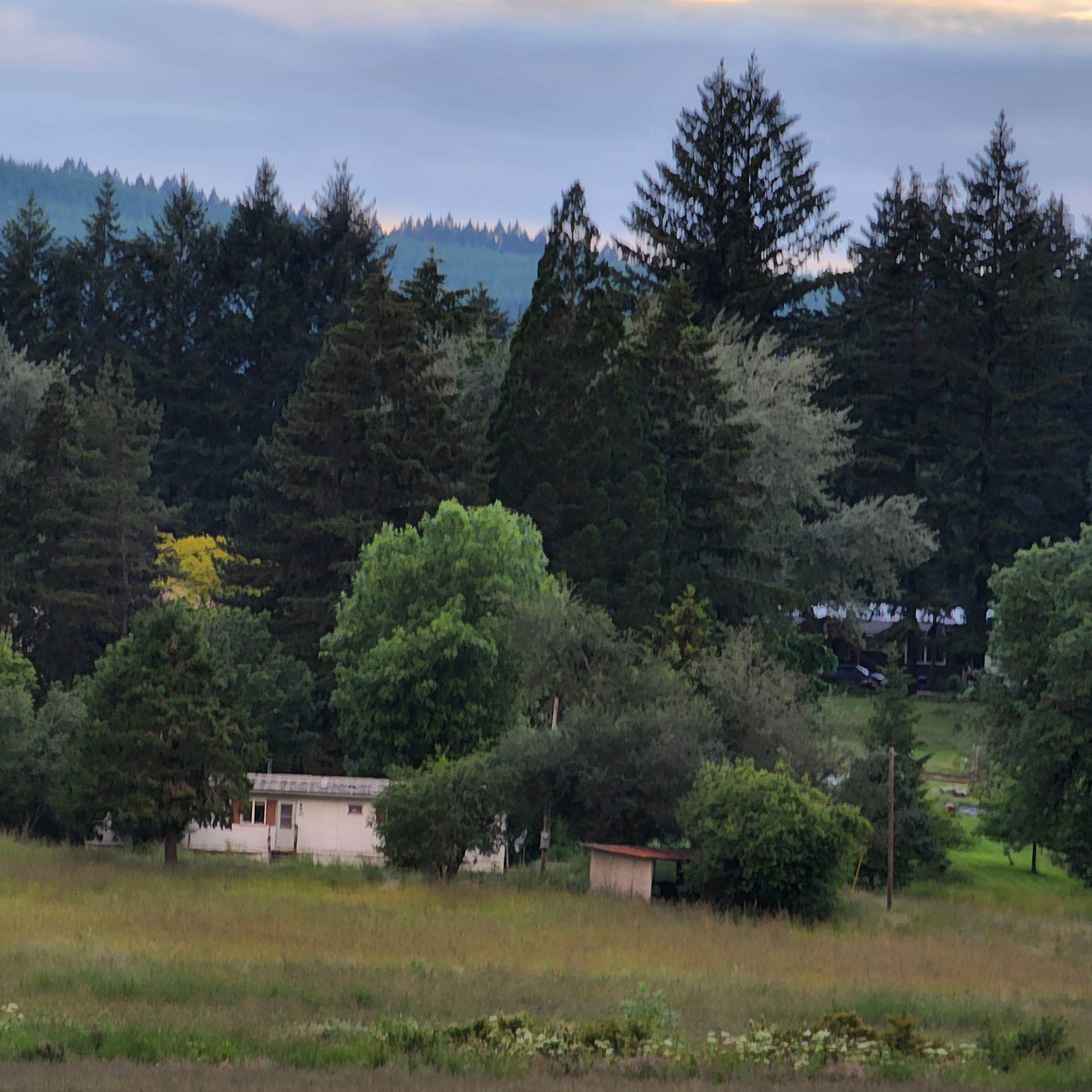 Henry Hagg Hideaway Camping | Gaston, Oregon
