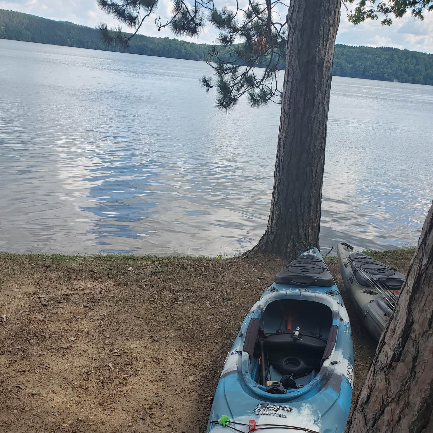 Northern Exposure Campground & RV Park | Mesick, MI