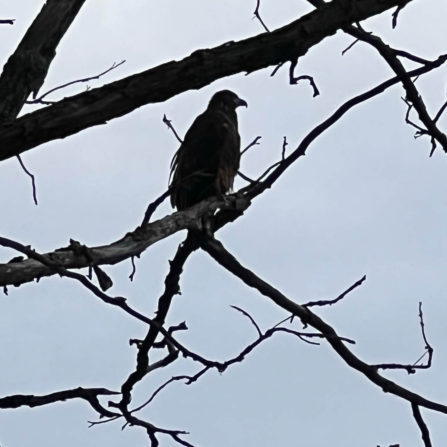 Kil-So-Quah - J. Edward Roush Lake Camping | Huntington, Indiana