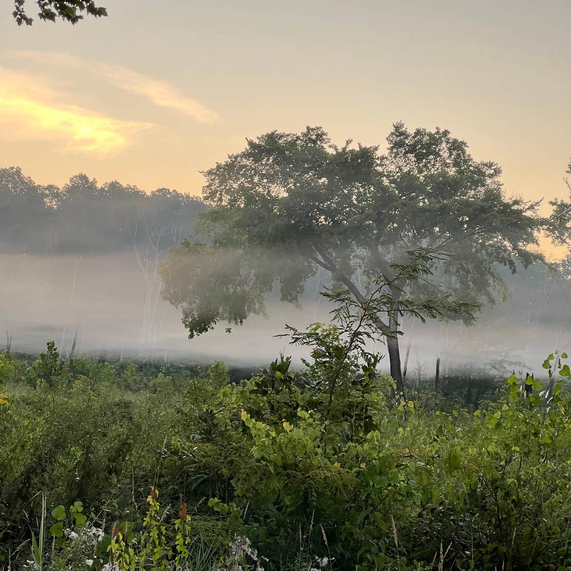 Kil-So-Quah - J. Edward Roush Lake Camping | Huntington, IN
