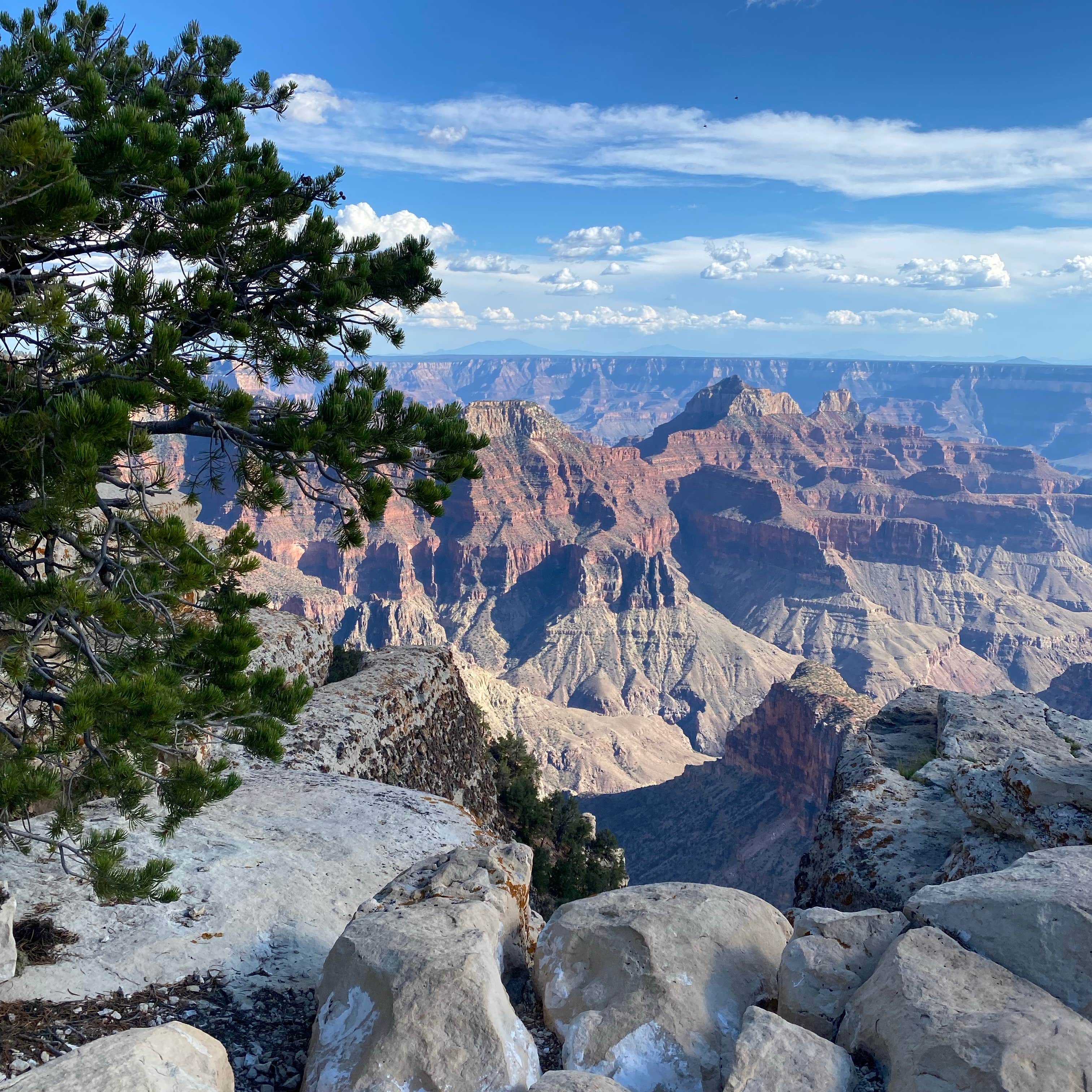 North Rim Campground — Grand Canyon National Park | North rim, AZ
