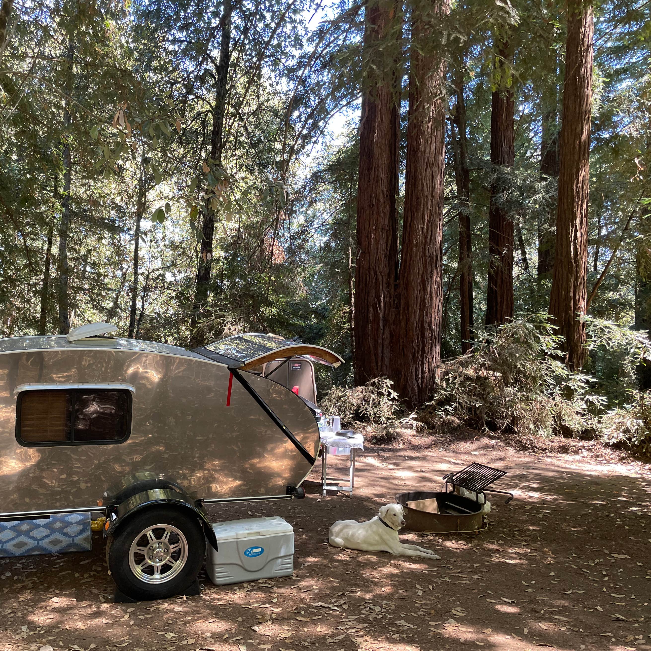 Mount Madonna Camping | Gilroy, CA