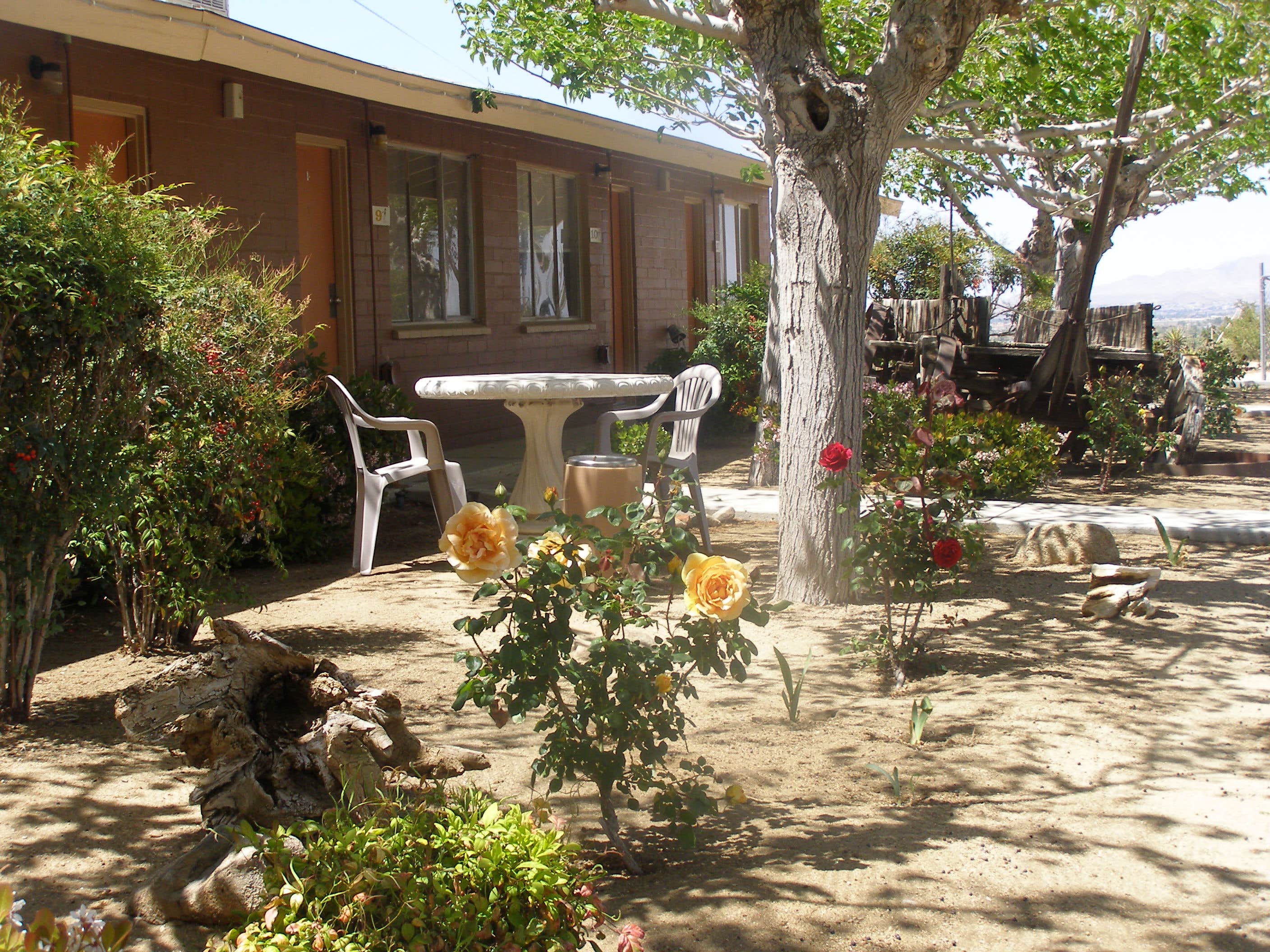 Hilltop Tavern and Inn Camping | Arkabutla Lake, CA