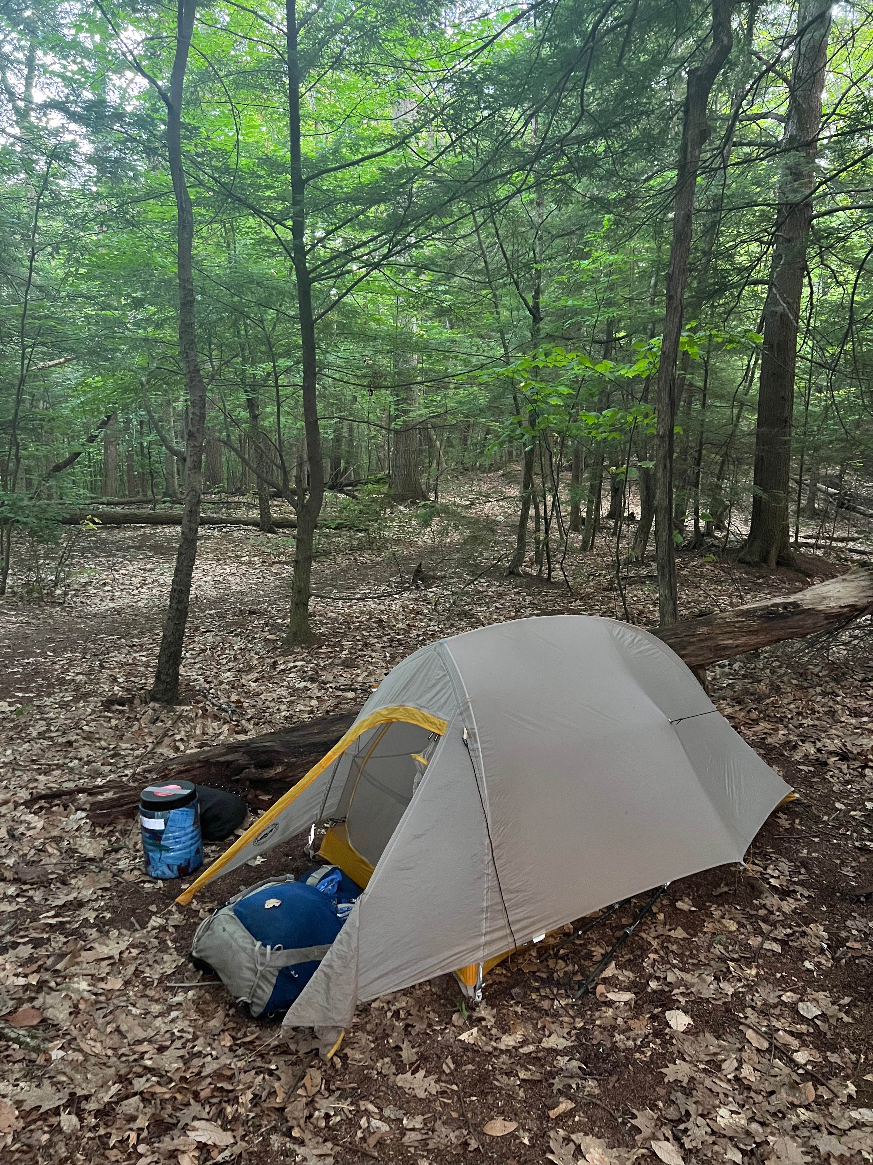 Velvet Rocks Shelter Backcountry Campground on the AT — Appalachian ...