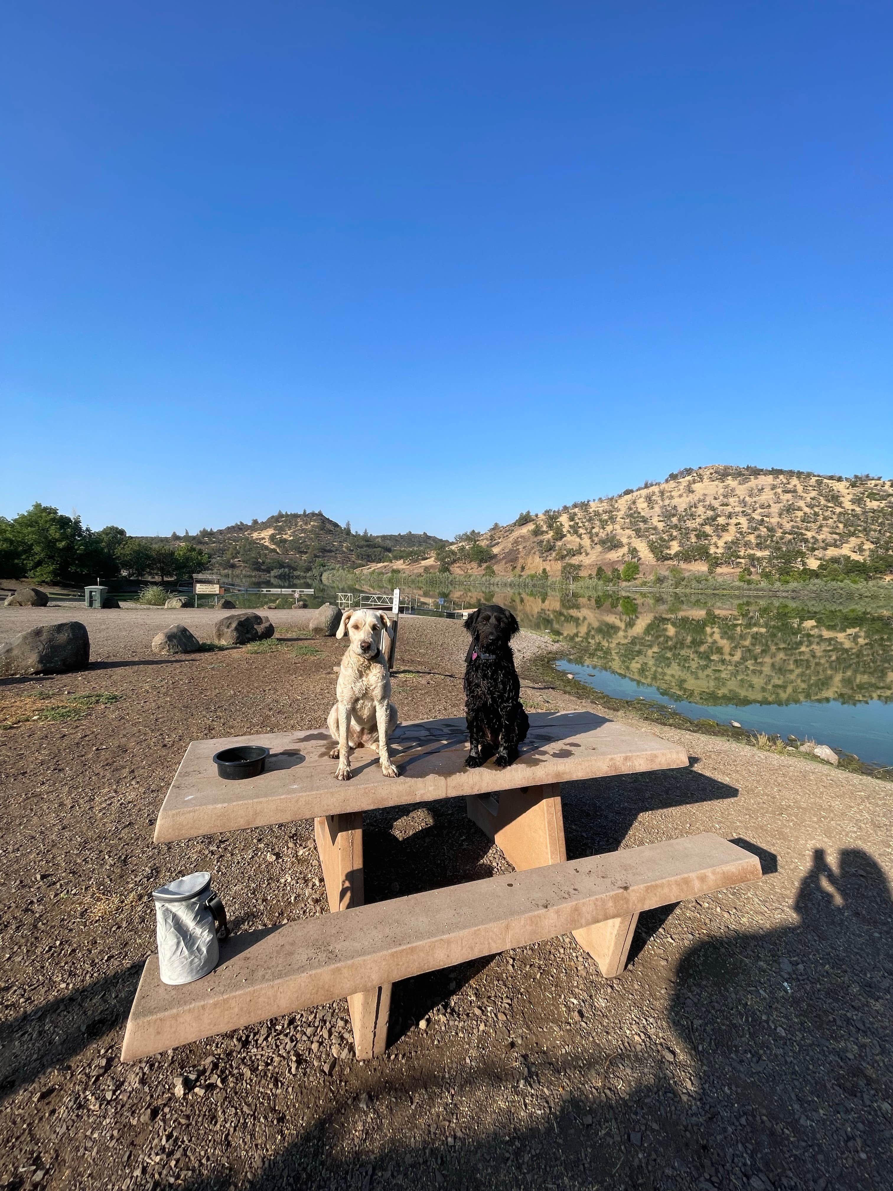 Iron Gate Reservoir Camping | Montague, CA