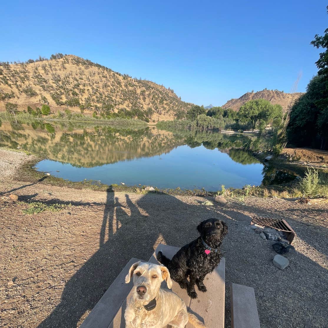 Iron Gate Reservoir (Camp Creek) | Montague, California
