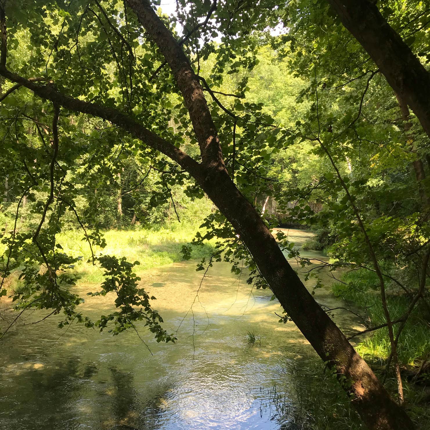 Bennett Spring State Park Campground | Windyville, Missouri