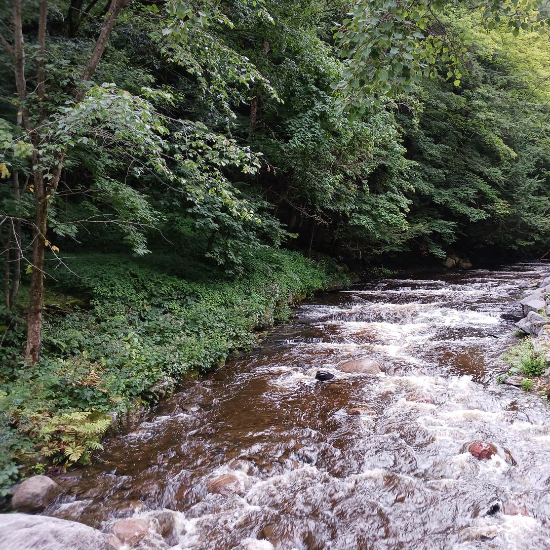Whetstone Gulf State Park Campground | Martinsburg, New York