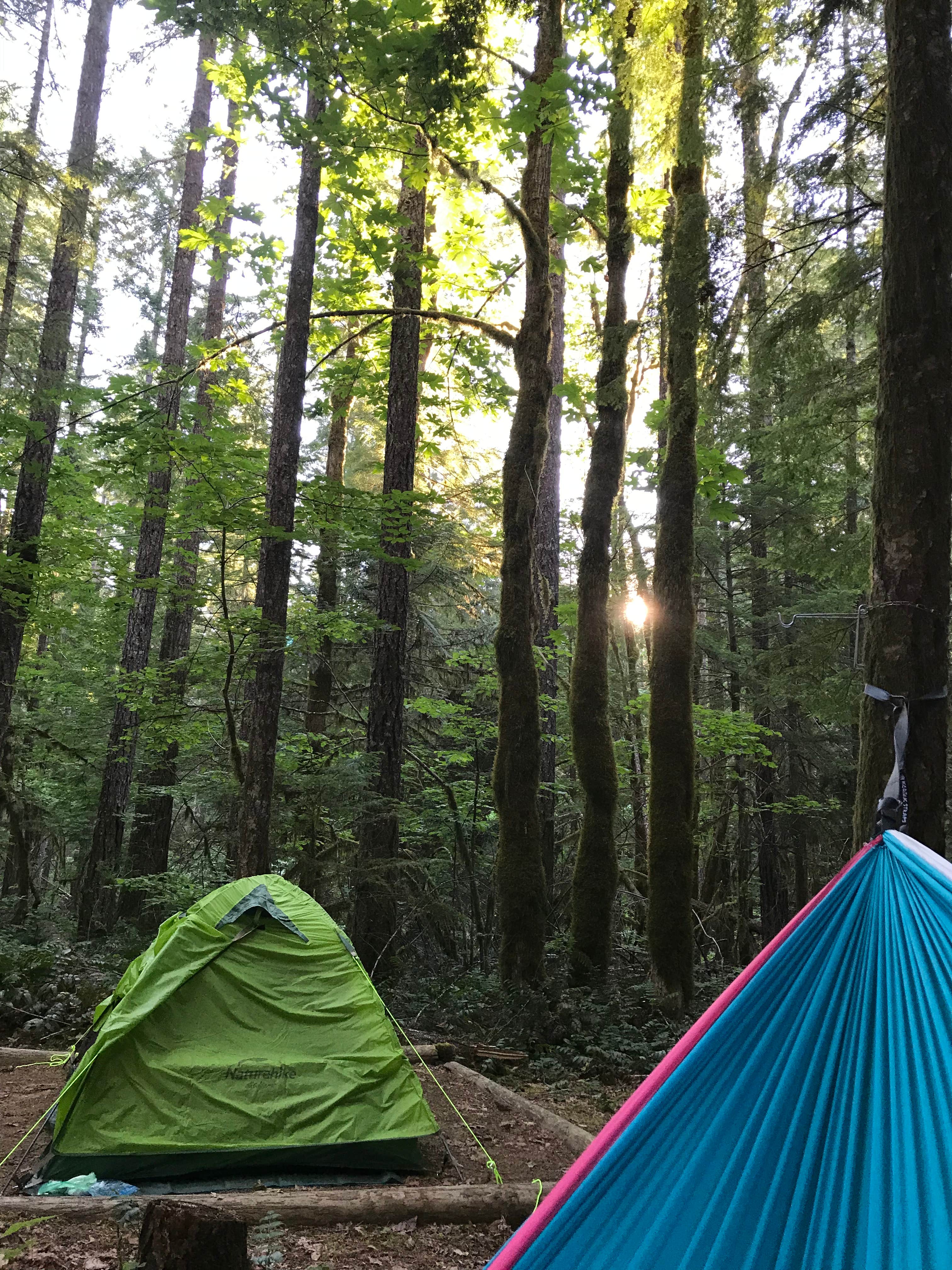 Panther Creek Campground | Carson, WA