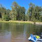 Waterloo County Park Camping | Lebanon, Oregon