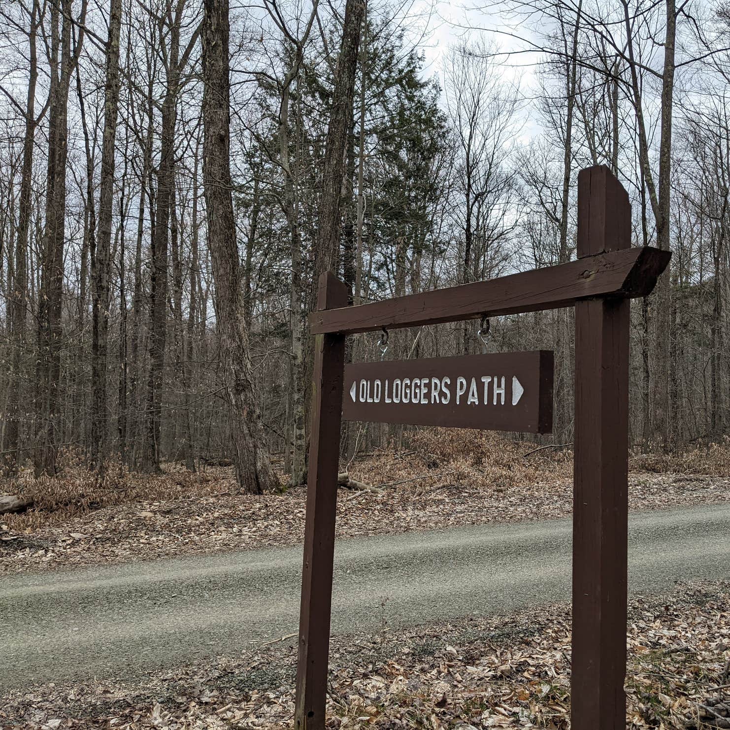 Old Logger's Path Camping | Shunk, PA