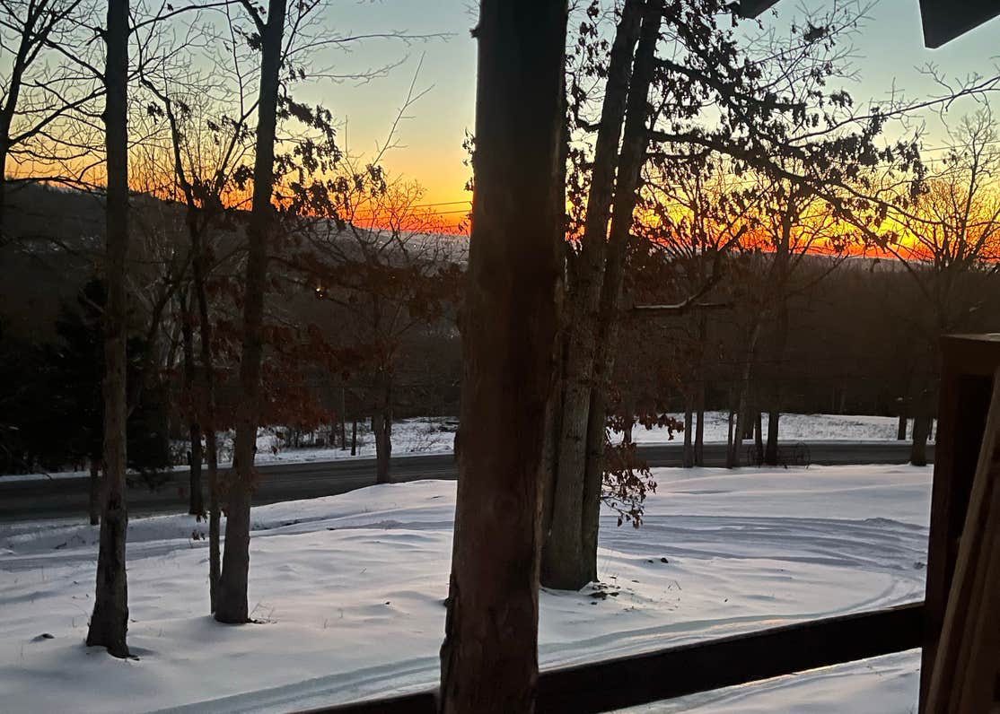 Into the Woods RV Park Camping | The Dyrt