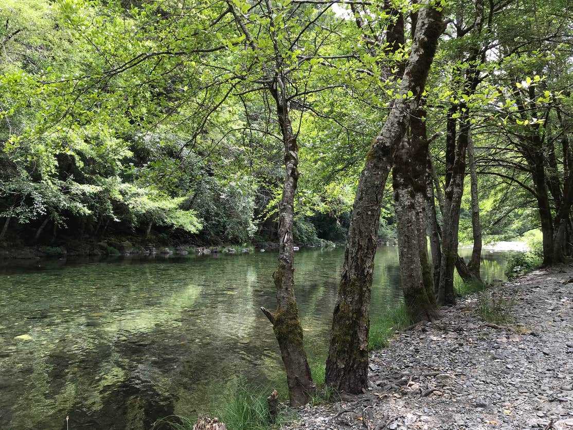 Patrick Creek Campground | The Dyrt
