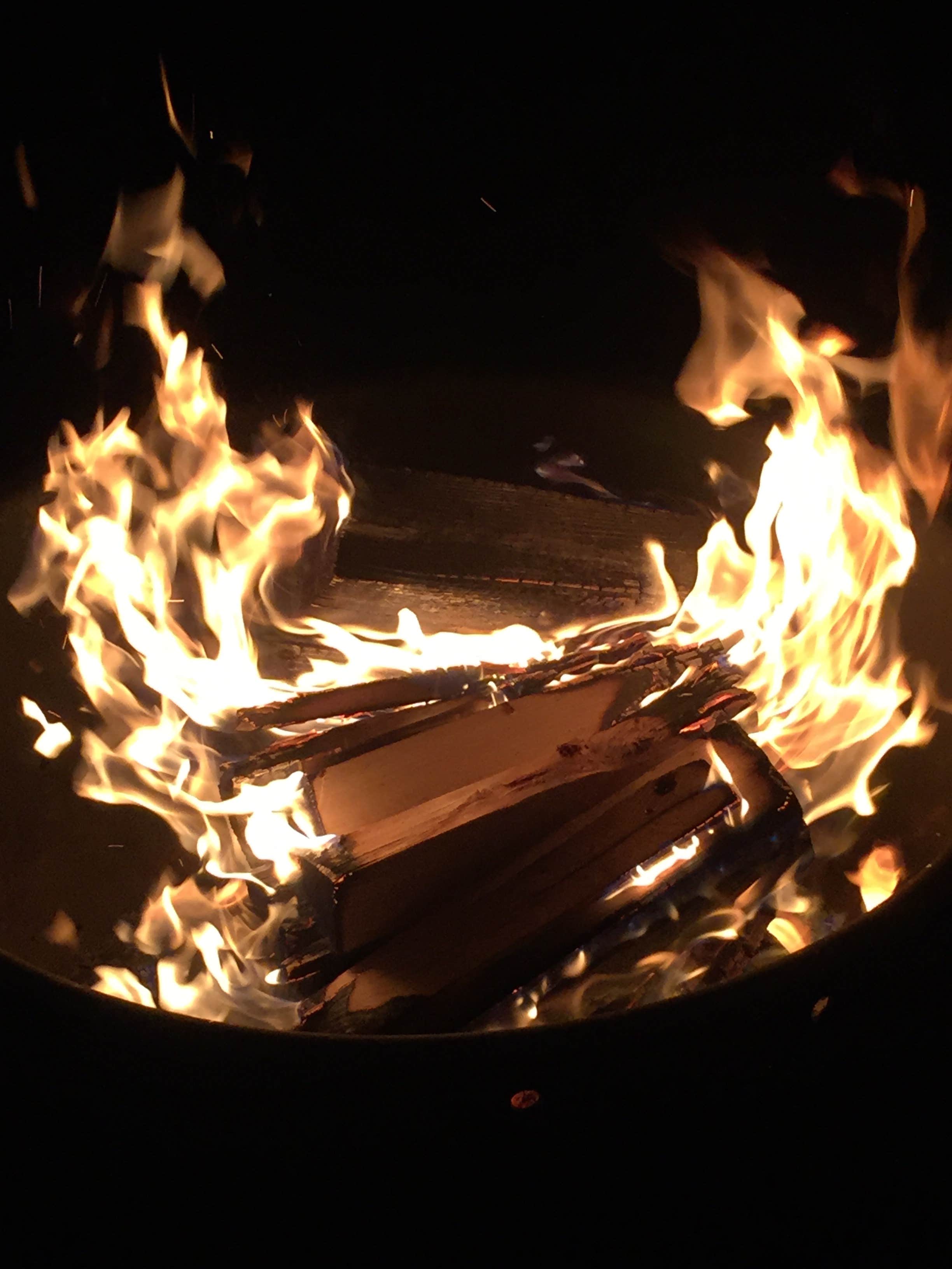 Lower Granite Lock and Dam - Lake Bryan Camping | Pullman, WA