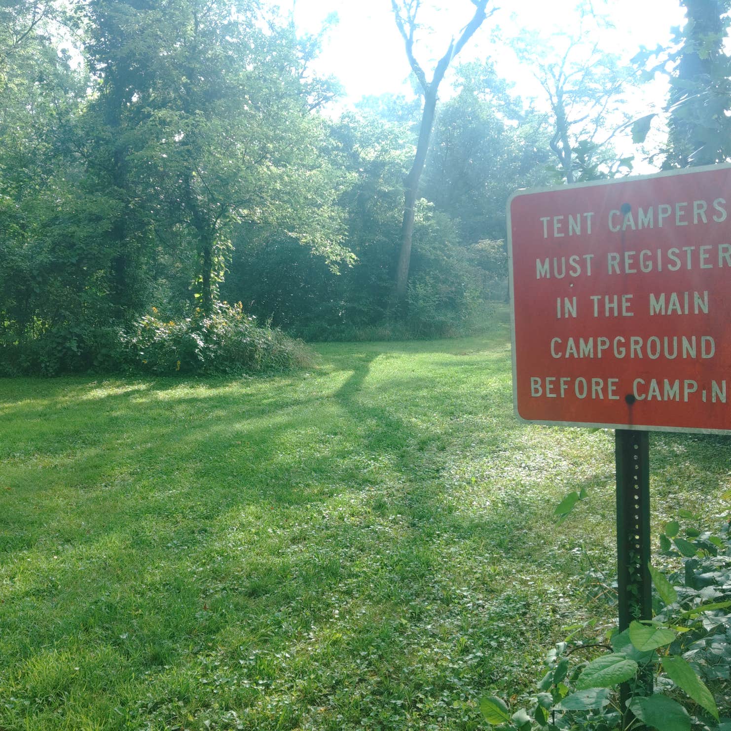 Saulsbury Bridge Rec Area, Primitive Tent Camp Camping | The Dyrt