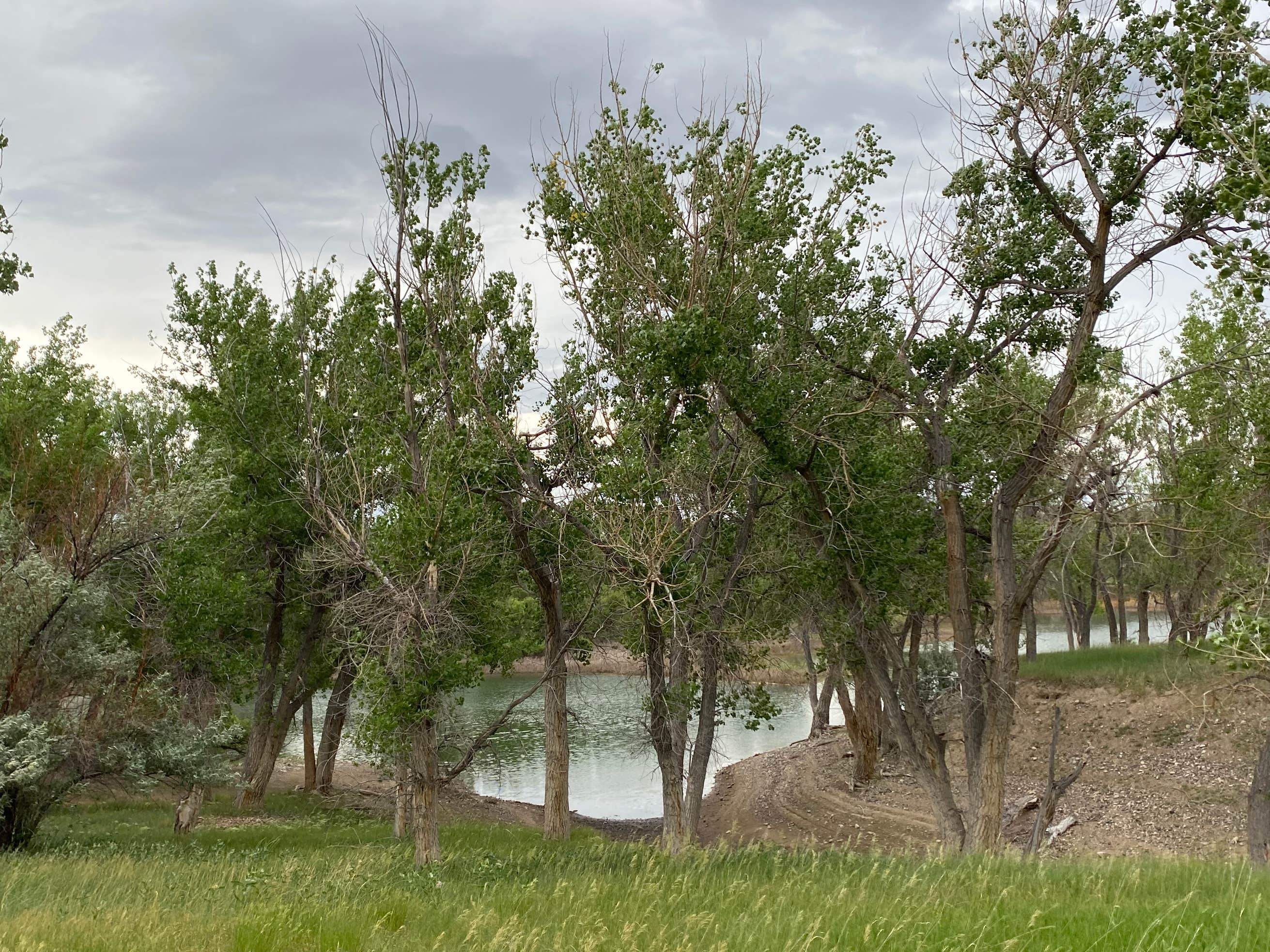 Colter Bay Campground - Glendo State Park Camping | The Dyrt