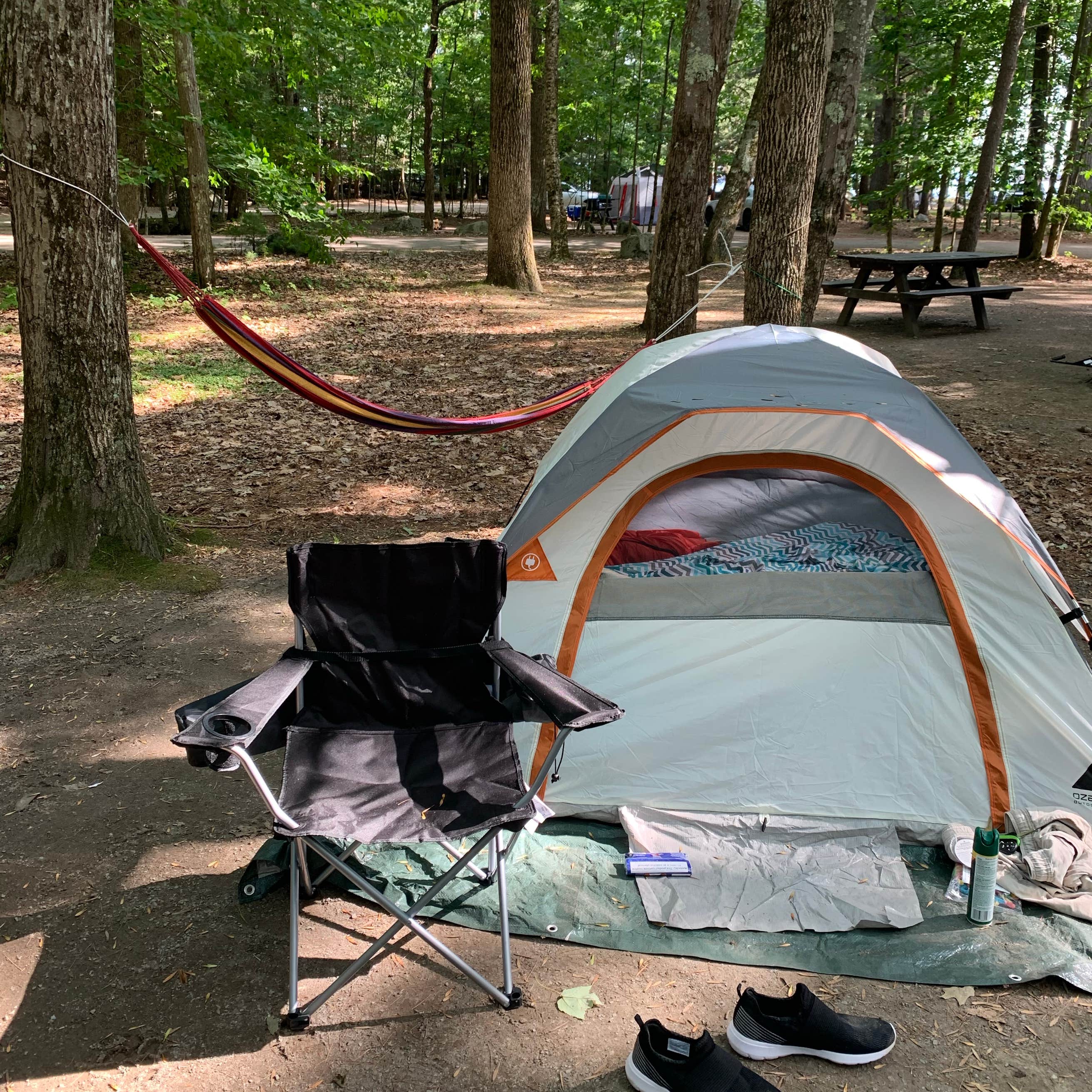 Sebago Lake State Park Campground | Naples, Maine