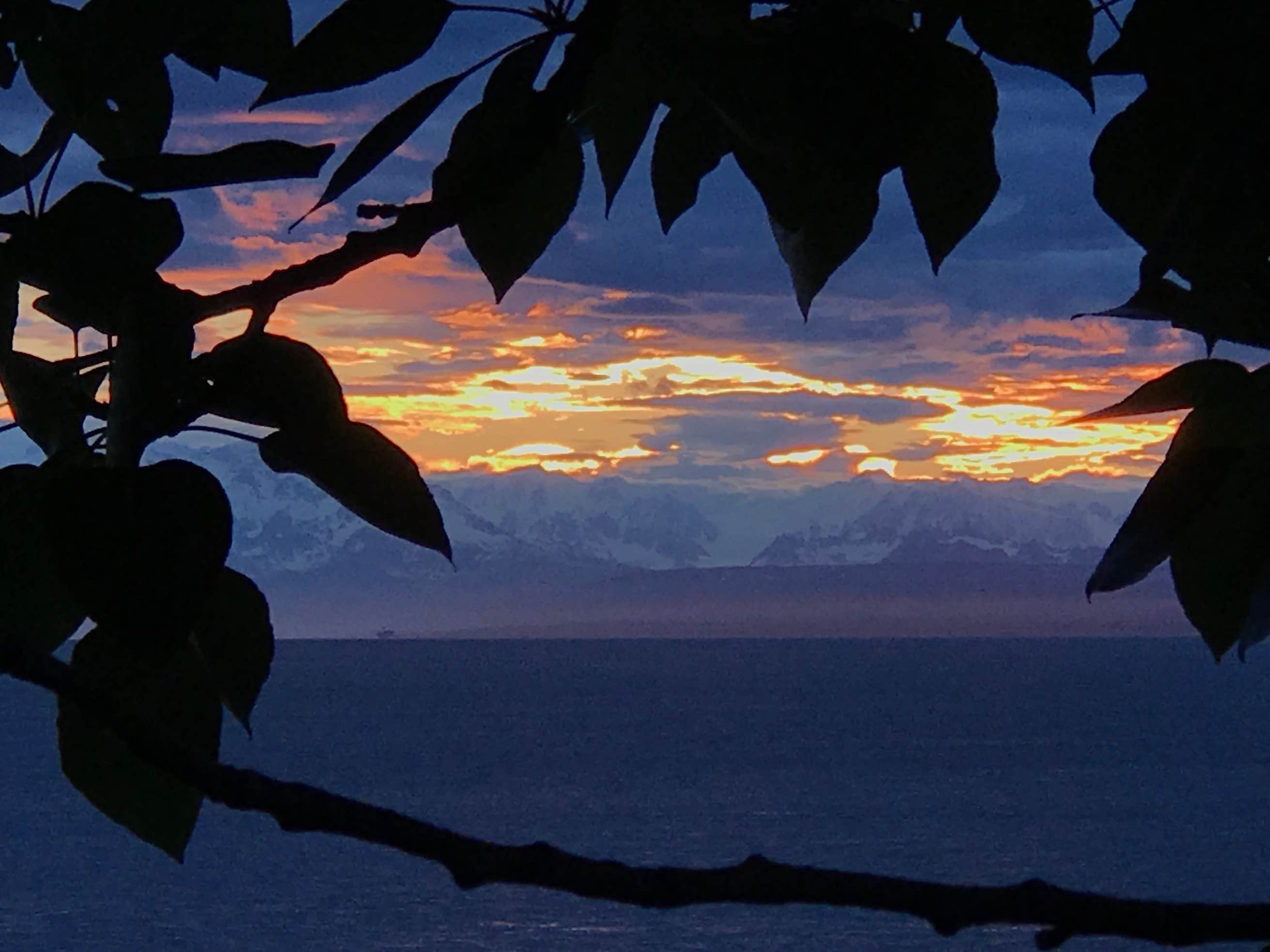 Captain Cook State Recreation Area | The Dyrt