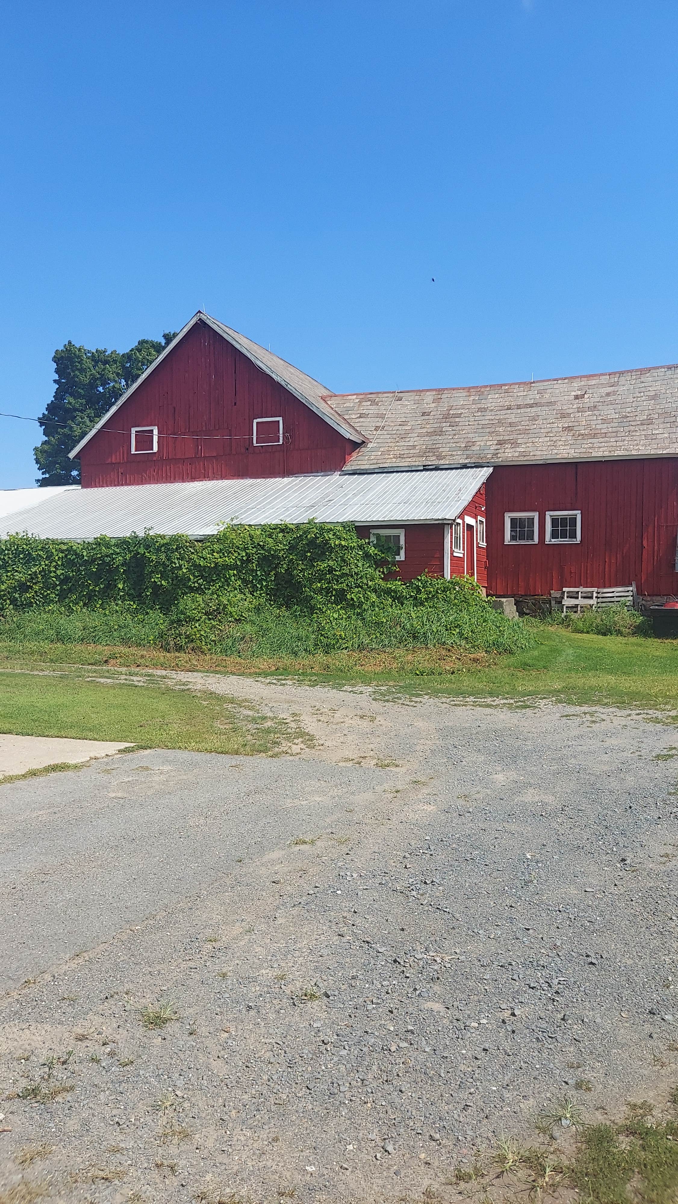 Birch Hollow Farm | Greenwich, NY