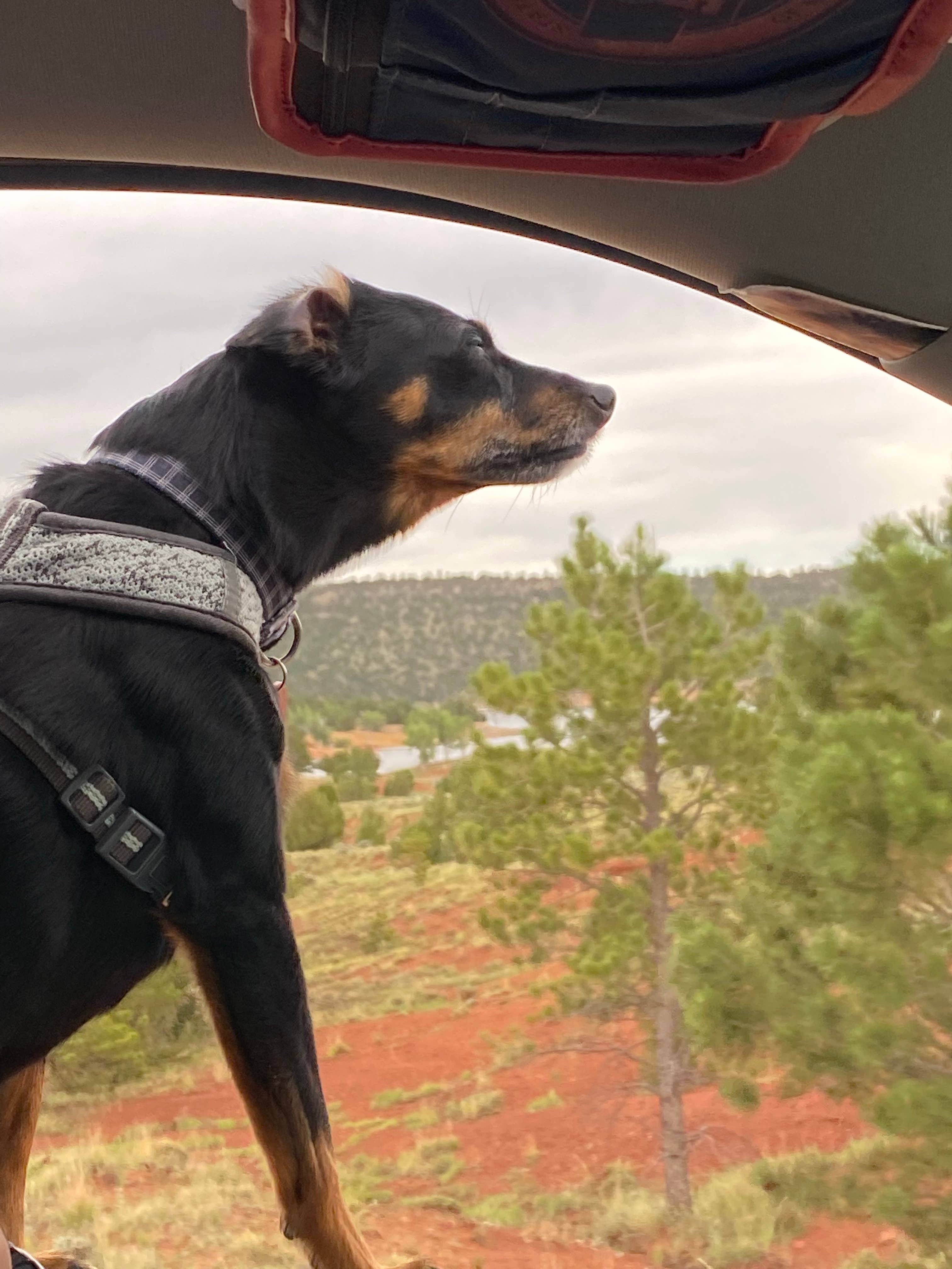 Red Hills Campground — Glendo State Park | Glendo, WY