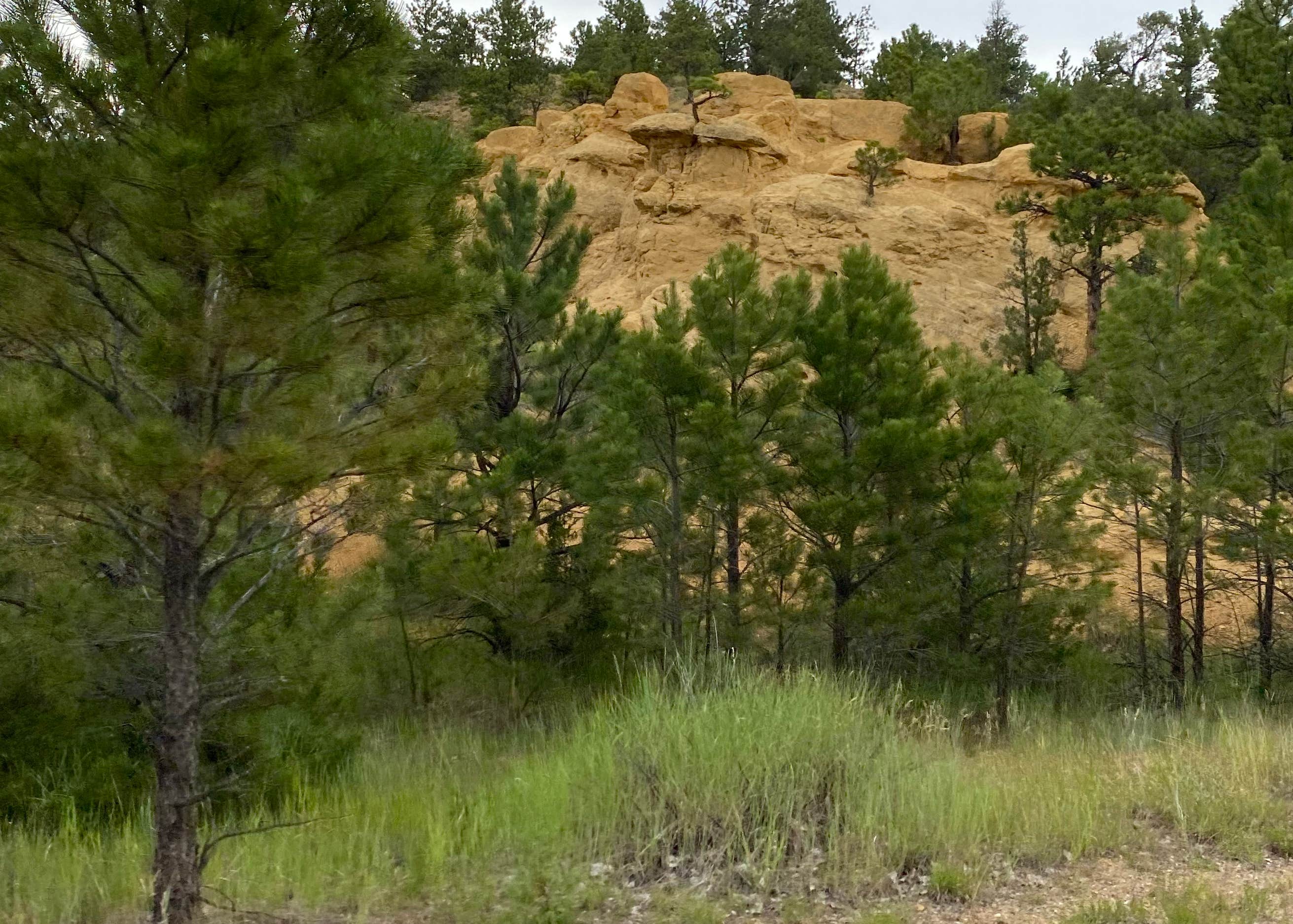 Soldier Rock Area - Glendo State Park Camping | The Dyrt