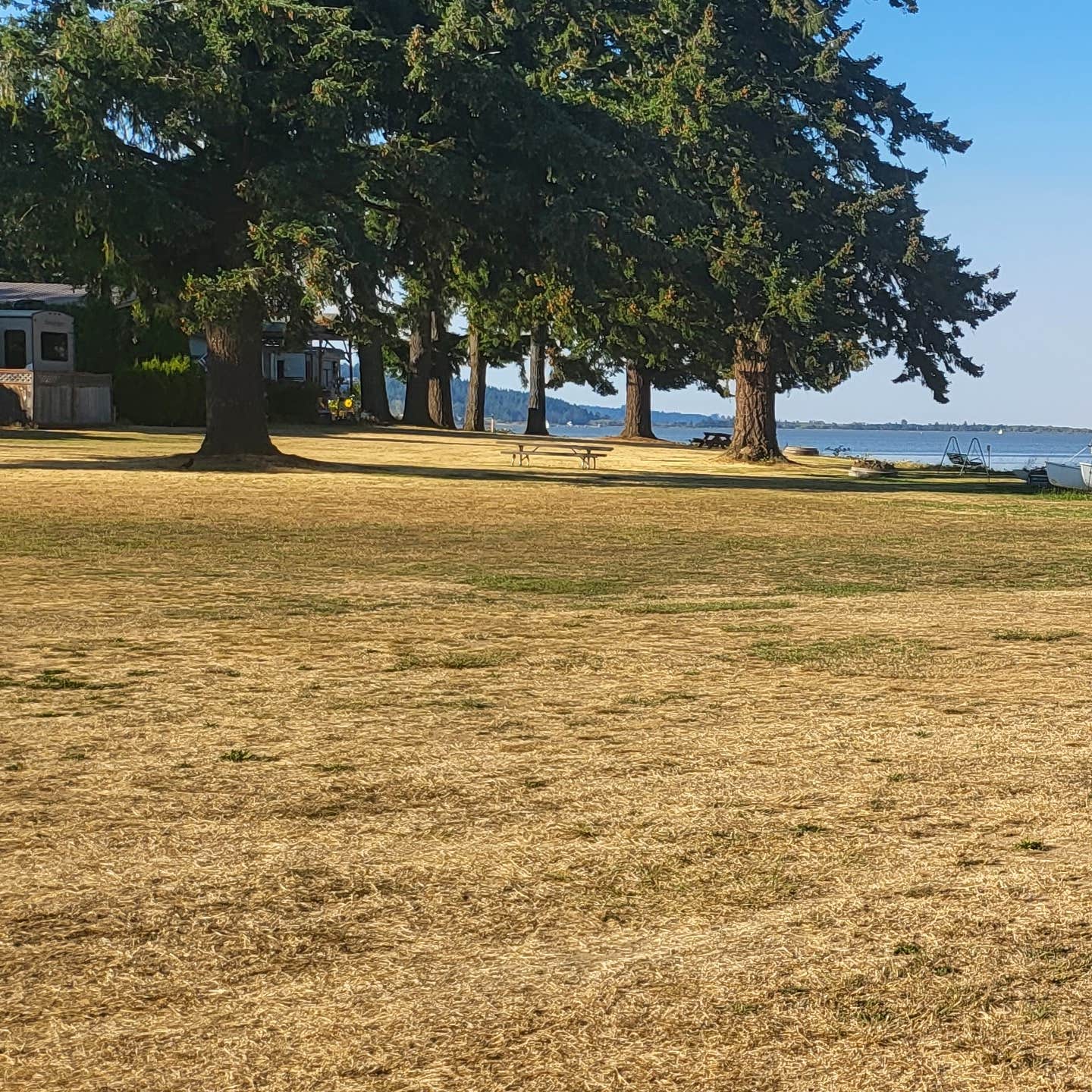 Fern Ridge Shores RV Park and Marina - 55+ RV Park | Veneta, Oregon