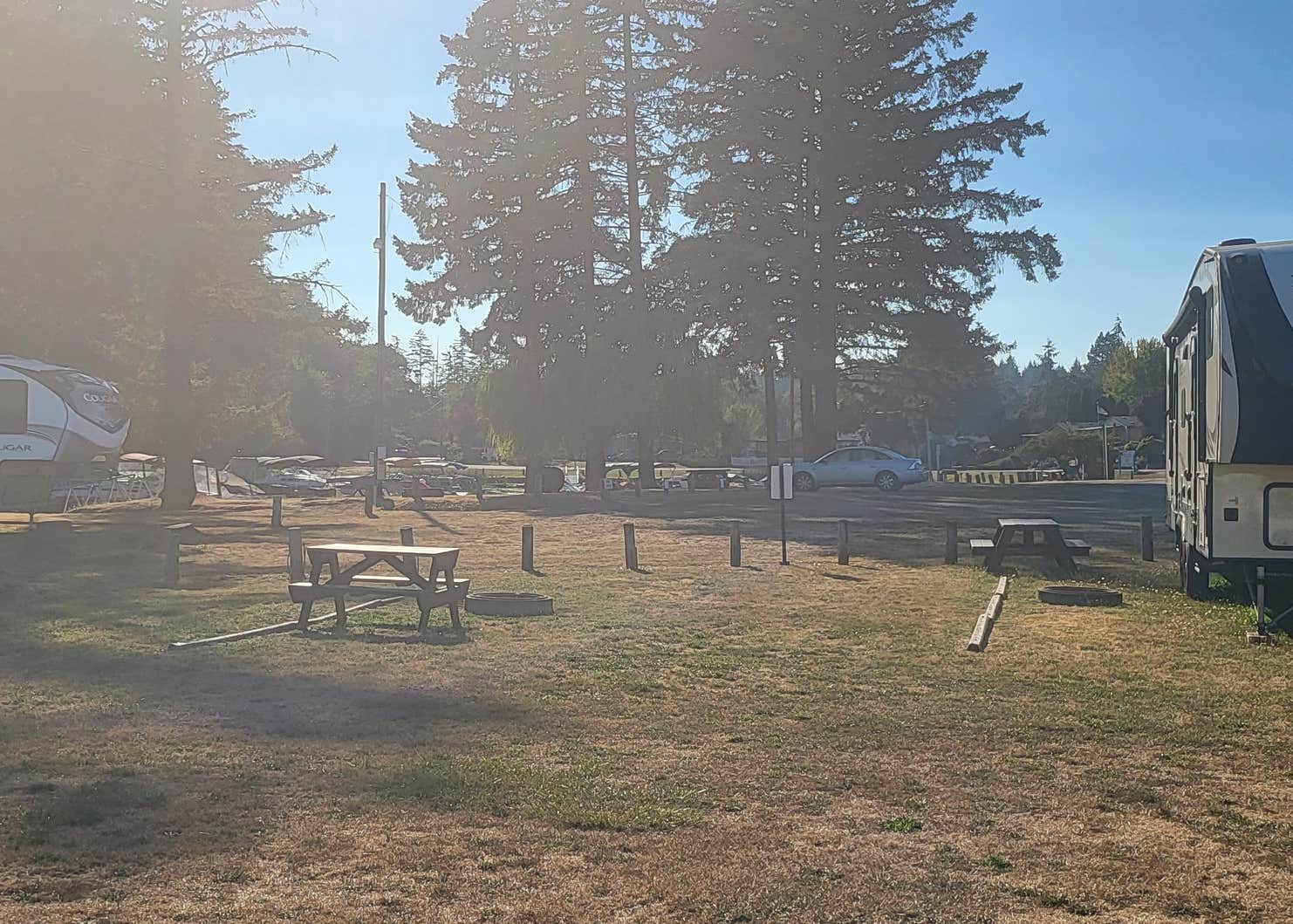 Fern Ridge Shores RV Park and Marina - 55+ RV Park Camping | The Dyrt