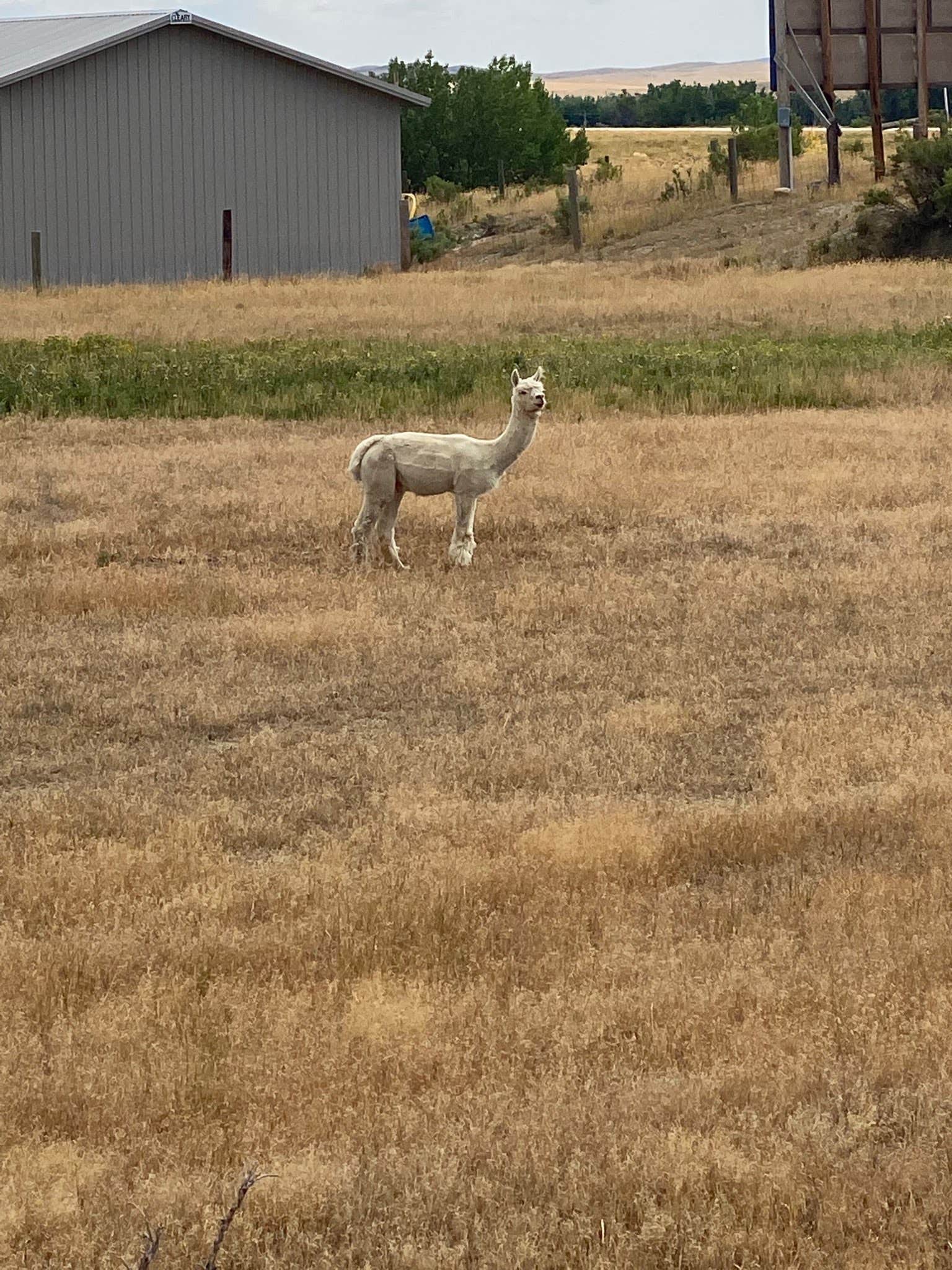 KC RV Park | Kaycee, WY