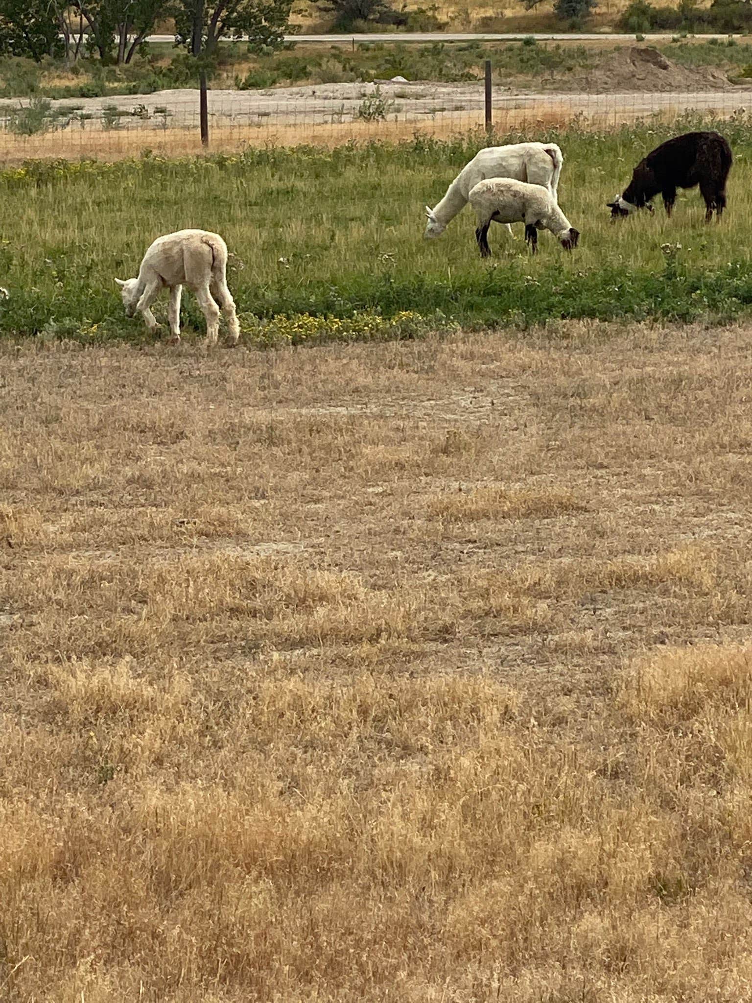 KC RV Park | Kaycee, WY