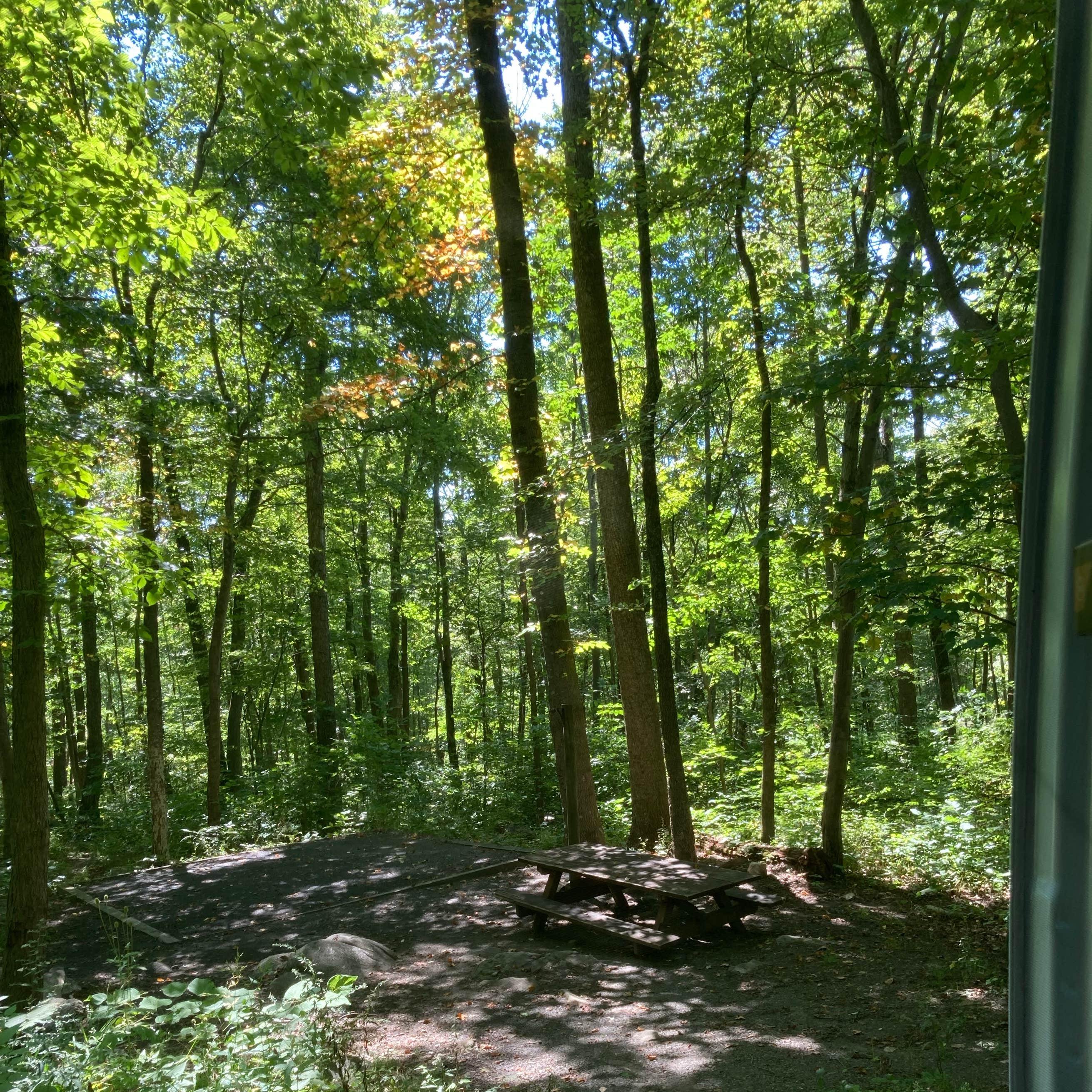 Wolf Gap Camping | The Dyrt