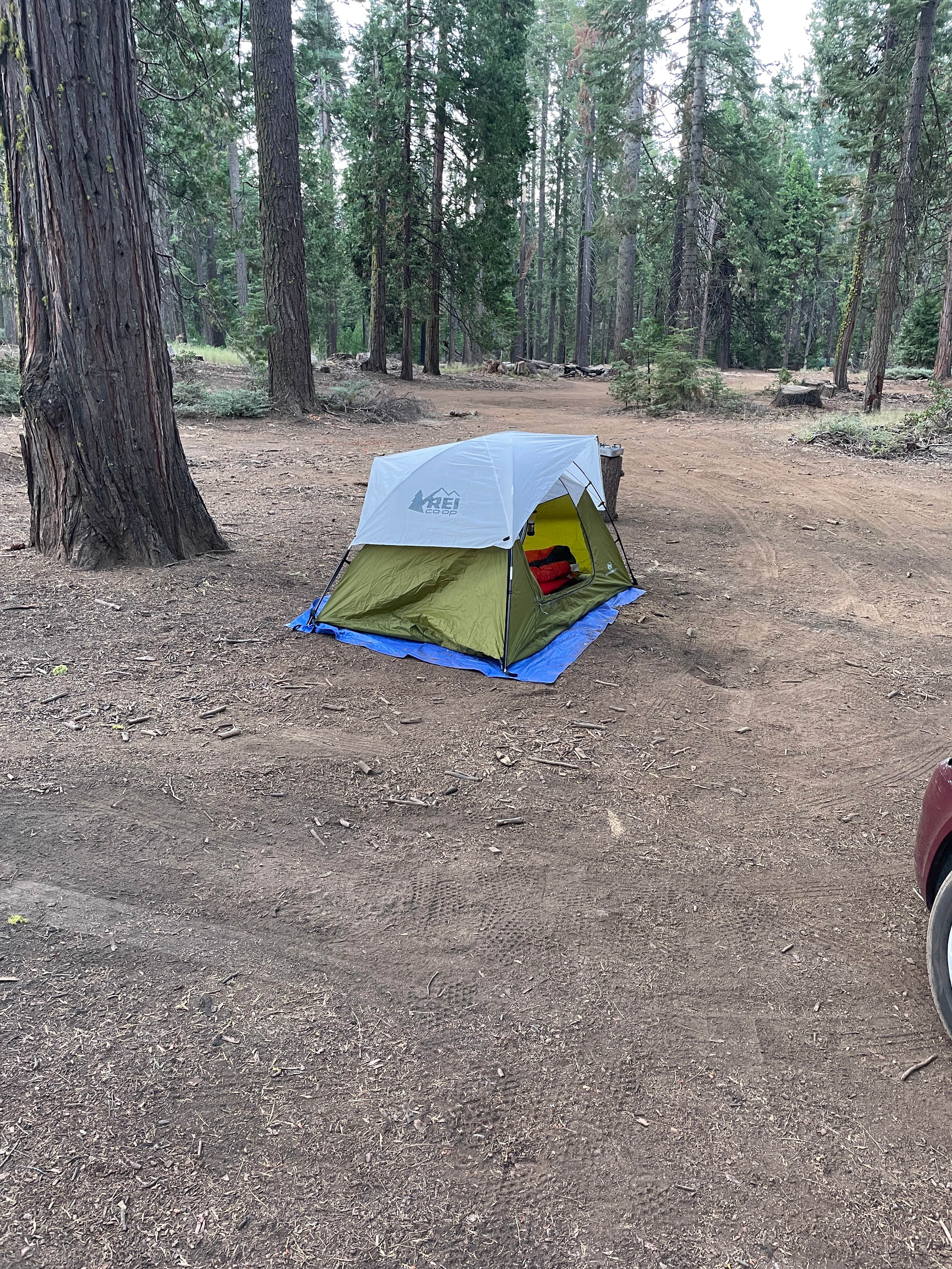 THE 10+ BEST Free Campsites near Yosemite National Park