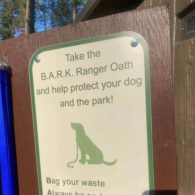 Finley Point Unit — Flathead Lake State Park Camping | Polson, MT