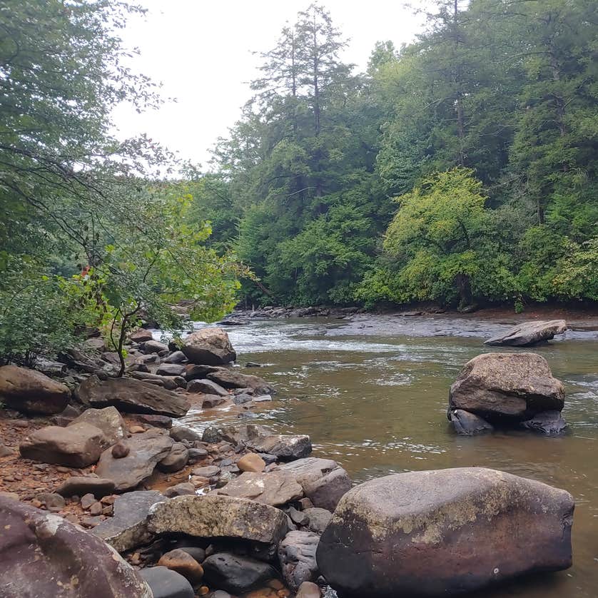 Audra State Park Capmground Camping | The Dyrt