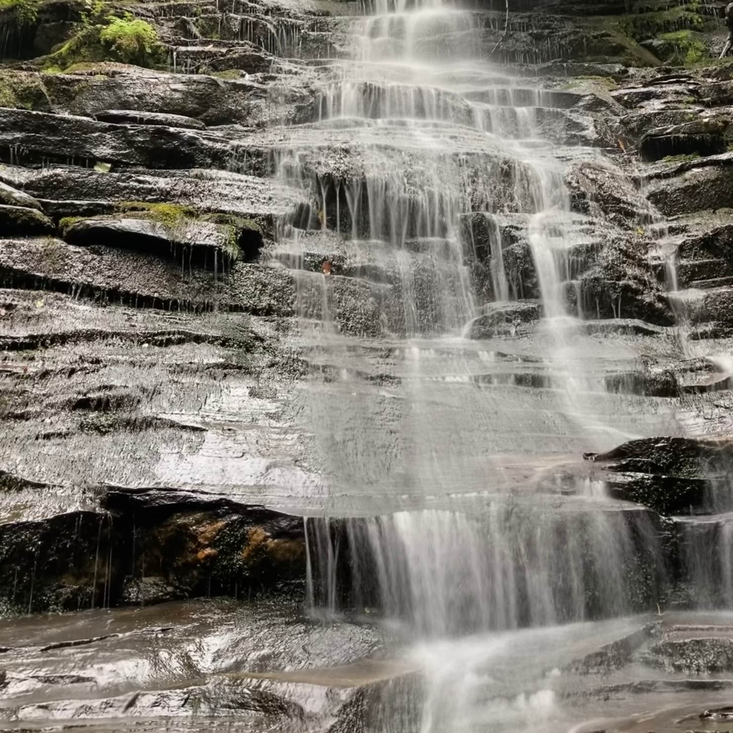 Lake Rabun Beach Recreation Area Camping | Lakemont, GA