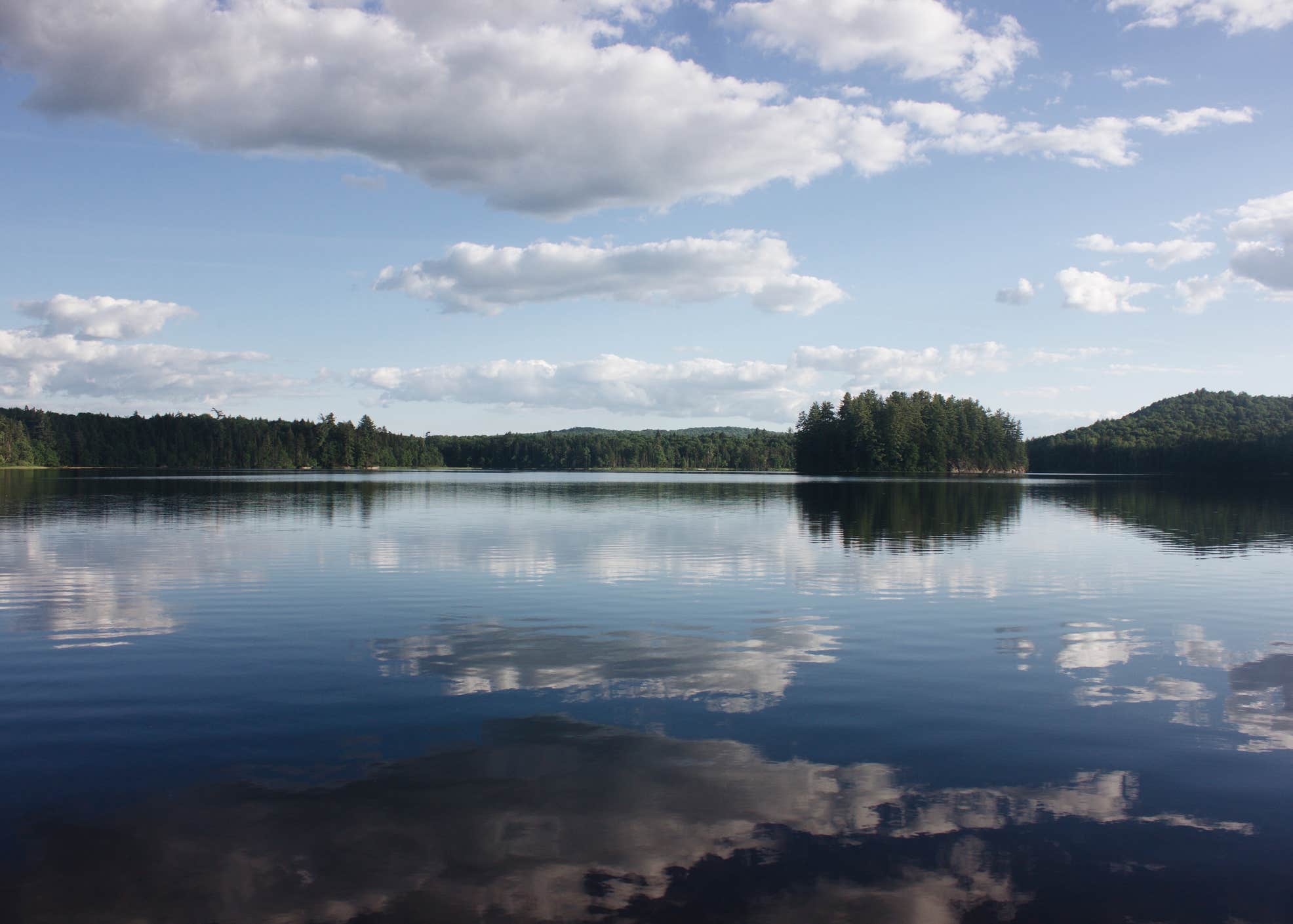 Brown Tract Pond Campground Camping | The Dyrt