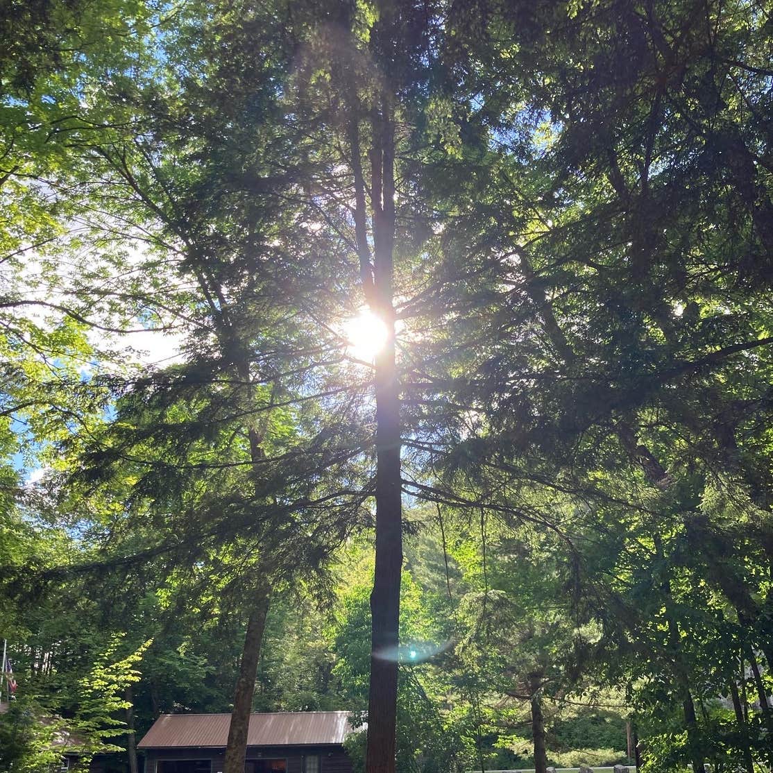 Eagle Point Campground | Pottersville, NY