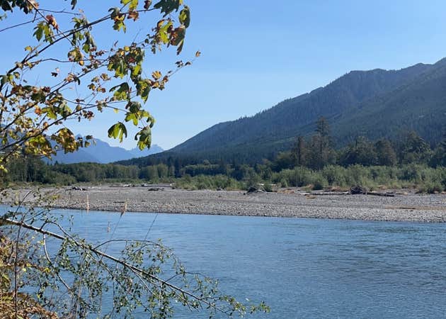Hoh River Dispersed Camping Camping | The Dyrt