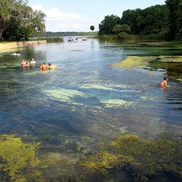 Salt Springs Recreation Area Camping | The Dyrt