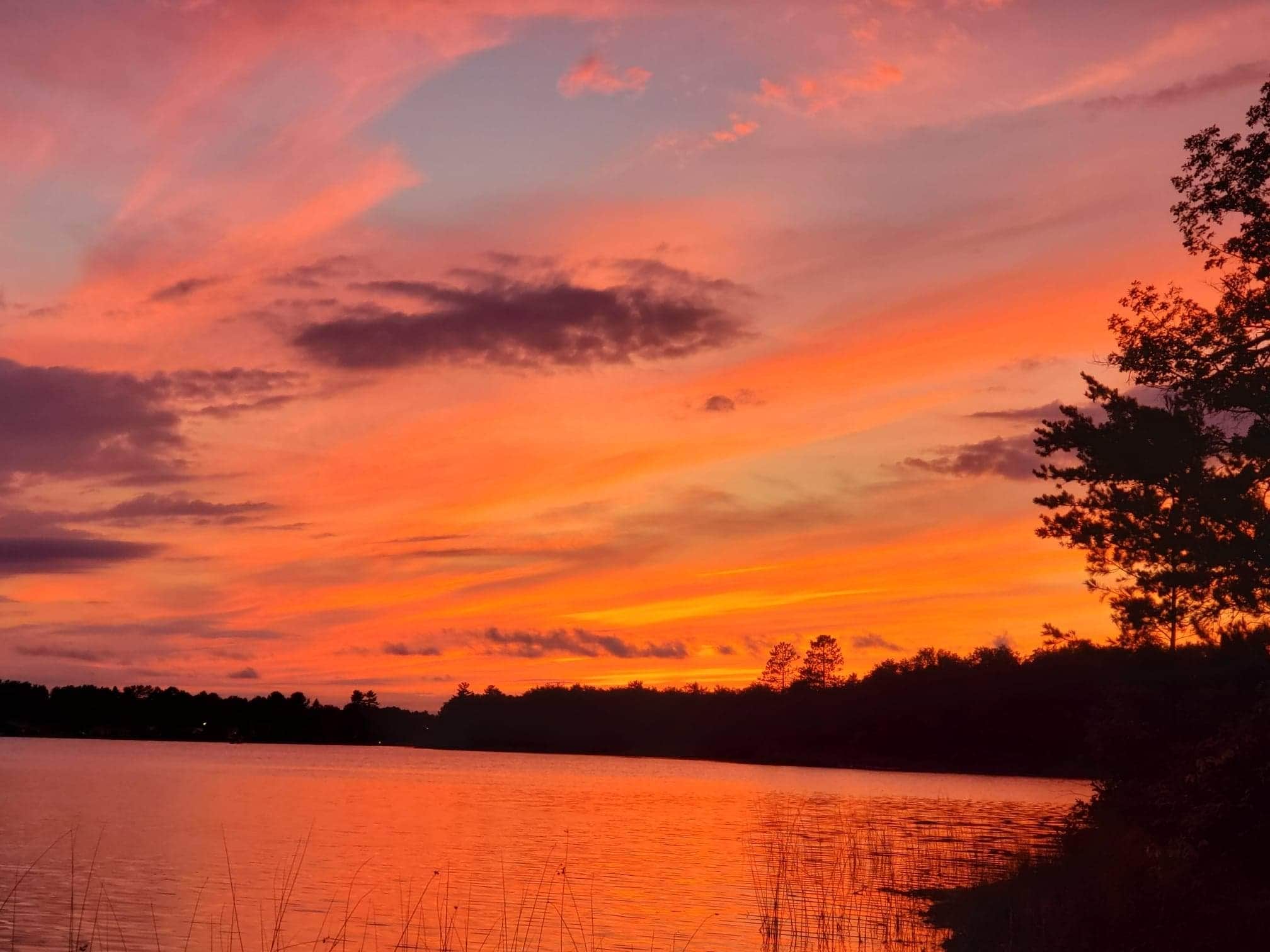 Mack Lake ORV Campground — Huron Manistee National Forests | Mio, MI
