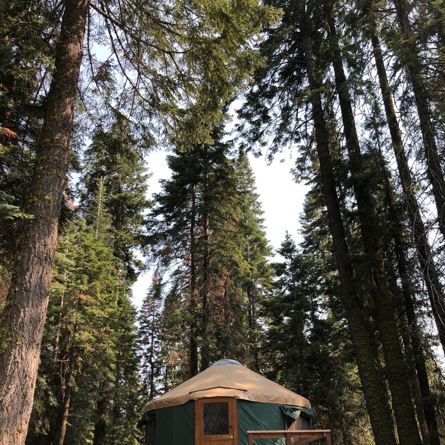 Sequoia National Forest Quaking Aspen Campground | Camp Nelson, CA