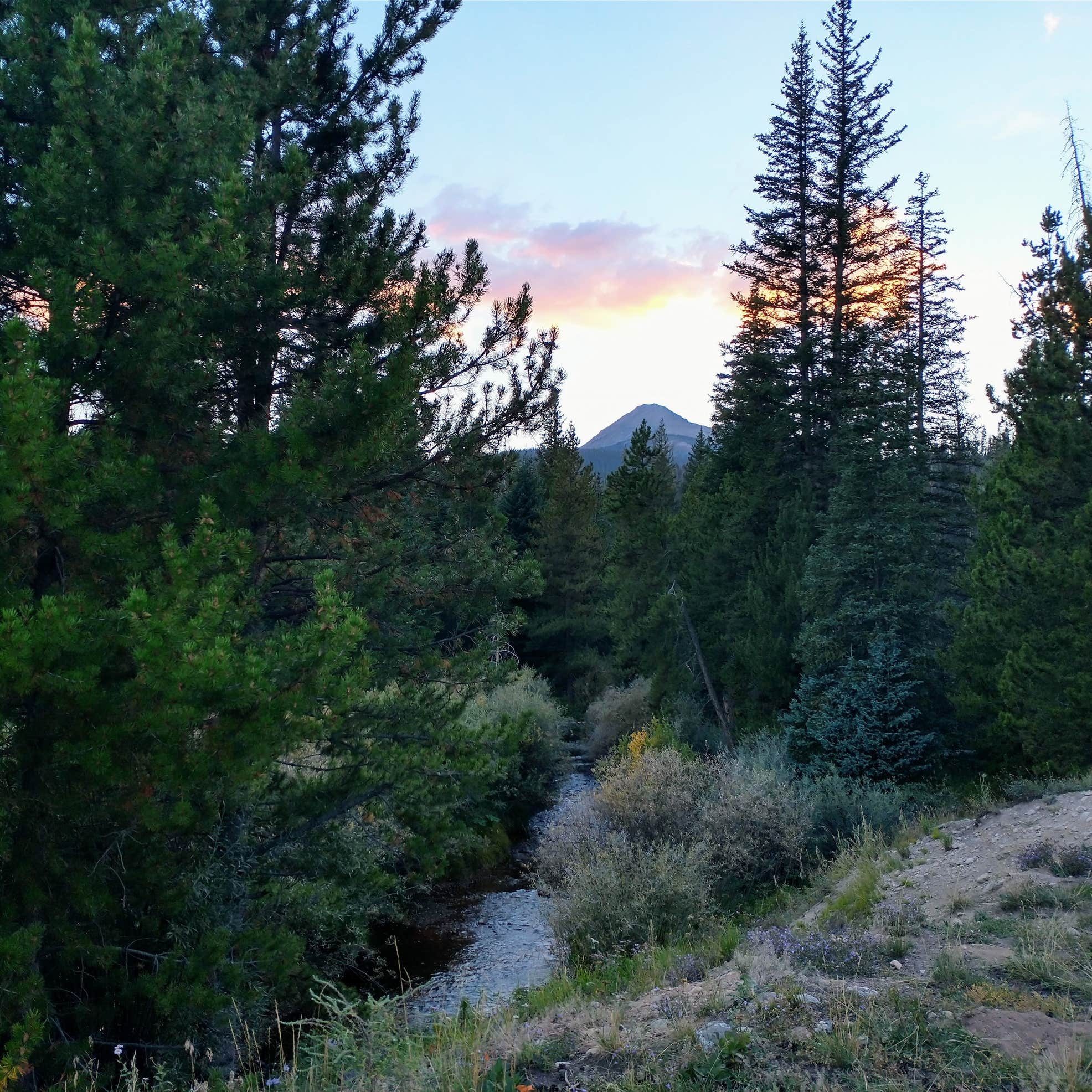 Rock Creek Designated Dispersed Camping Camping | The Dyrt