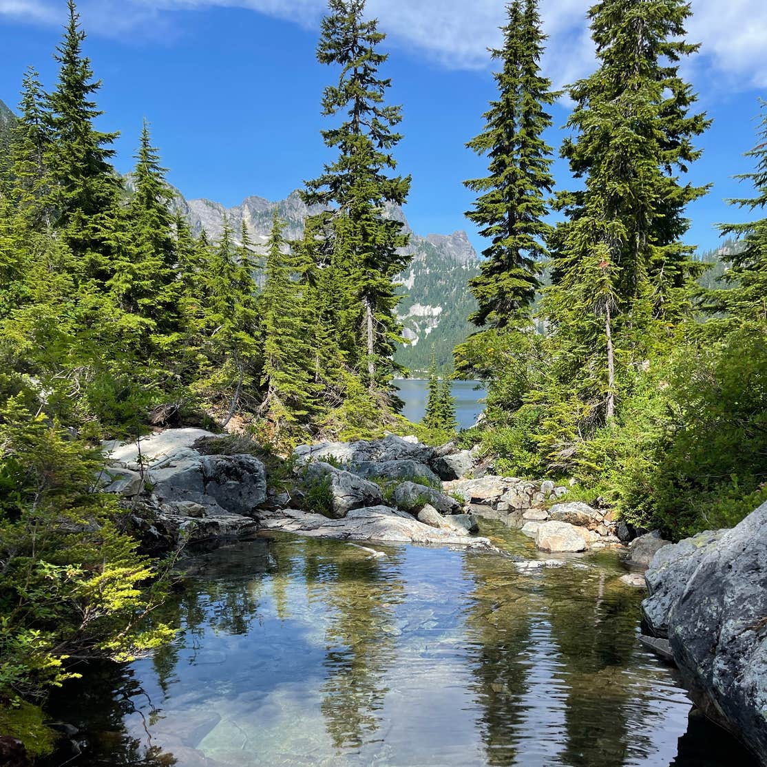 Snow Lake Backcountry Campsites — Mount Rainier National Park ...