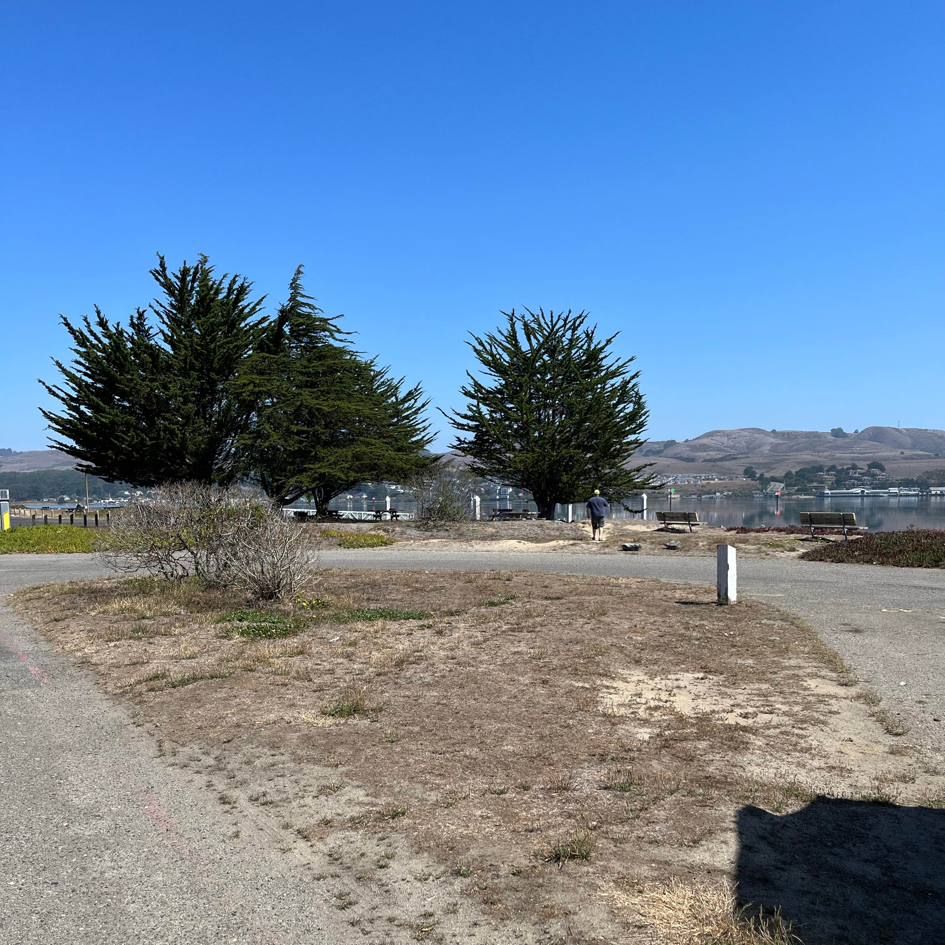 Westside Regional Park Camping | Bodega Bay, California