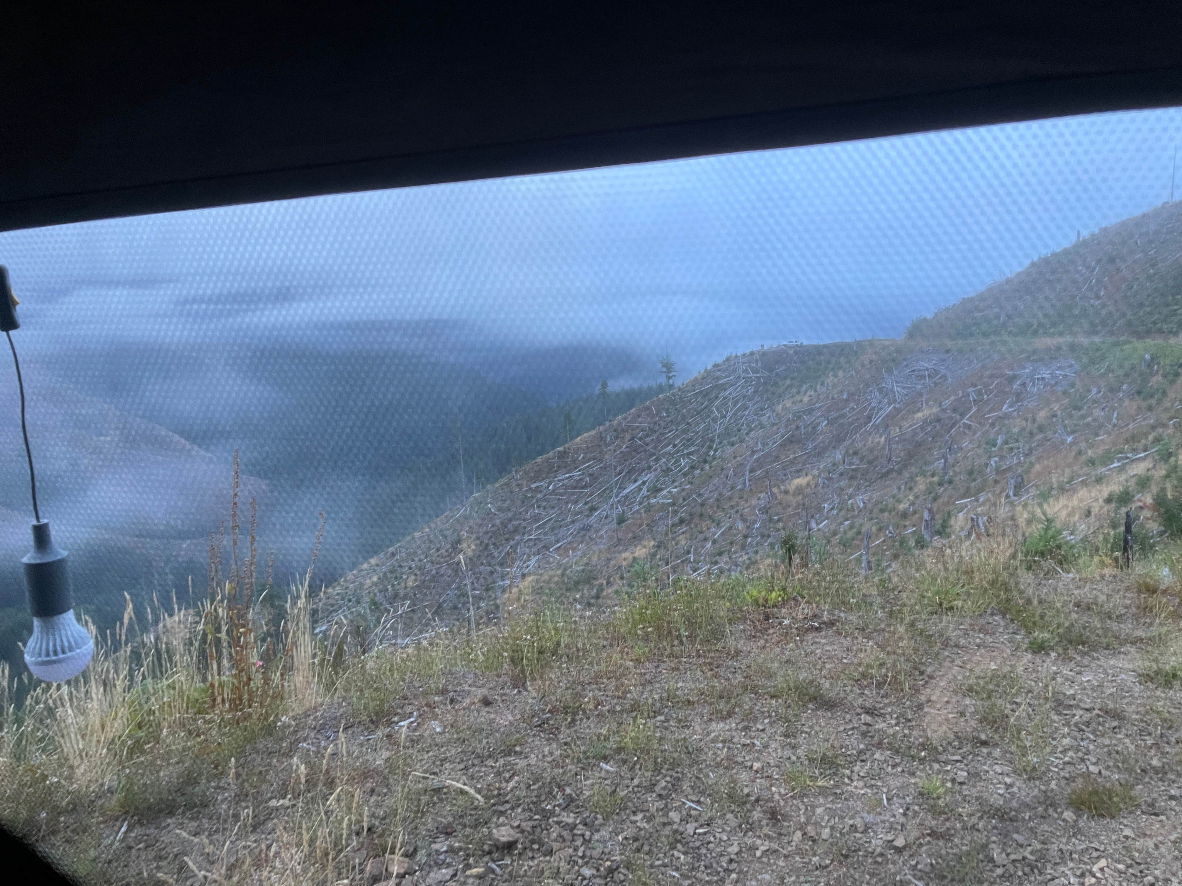 Tillamook State Forest Dispersed Camping | Tillamook State Forest, OR